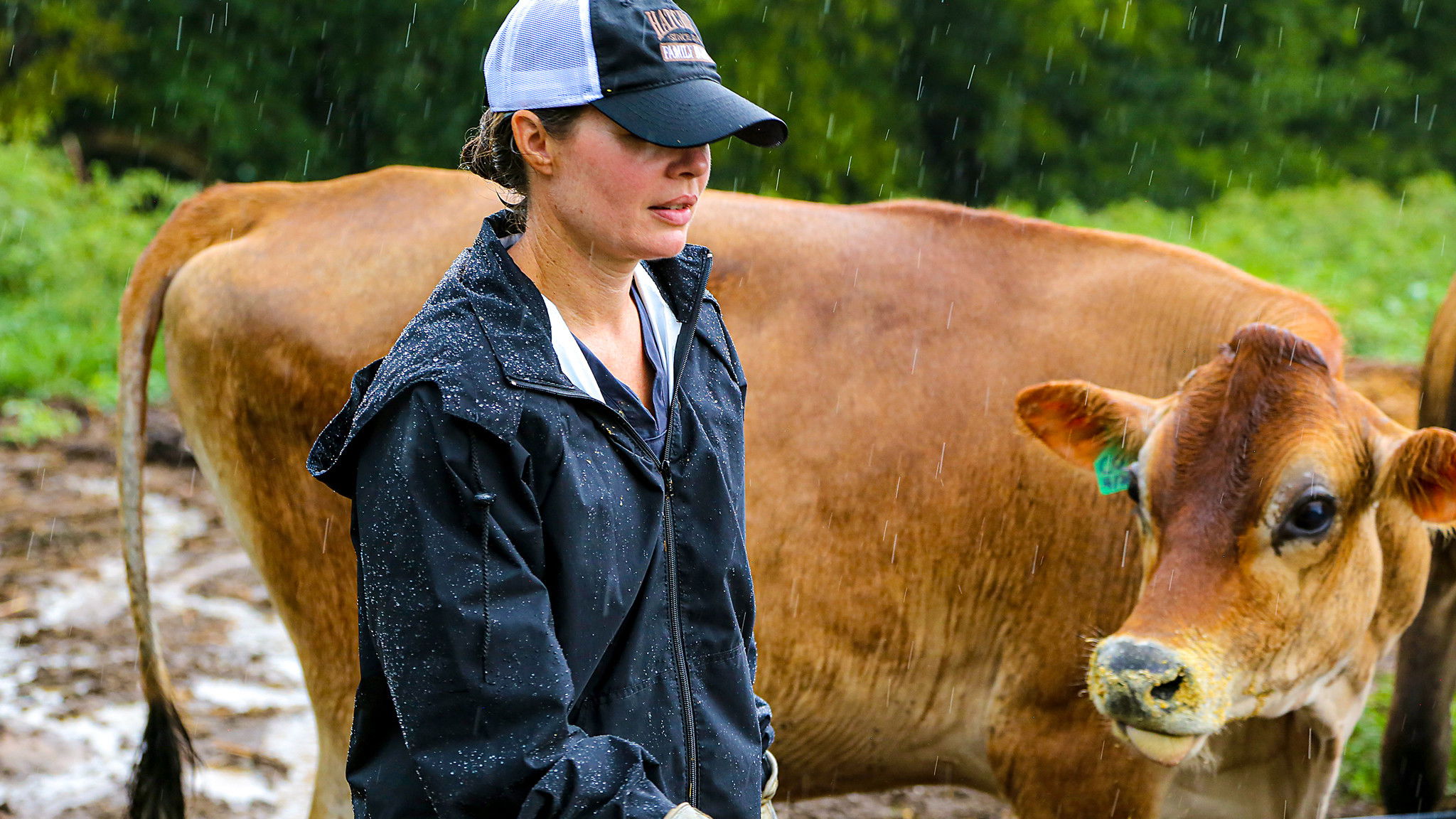 The Hatcher Family Dairy (TV Series 2021- ) - Backdrops — The Movie ...
