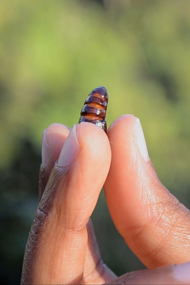 Toli Toli (2018) - Posters — The Movie Database (TMDB)