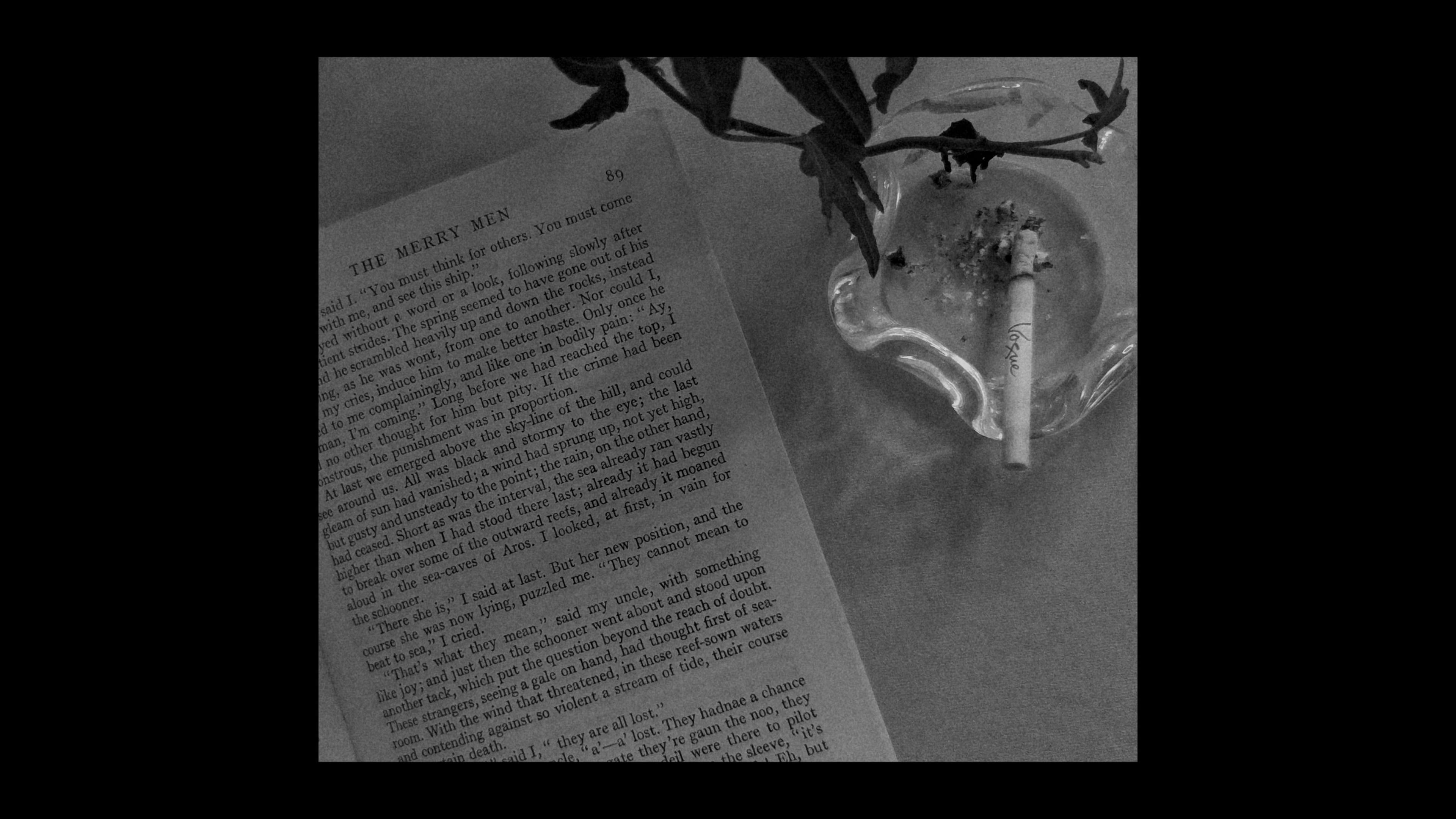 Miss Raven (2022) - Backdrops — The Movie Database (TMDB)