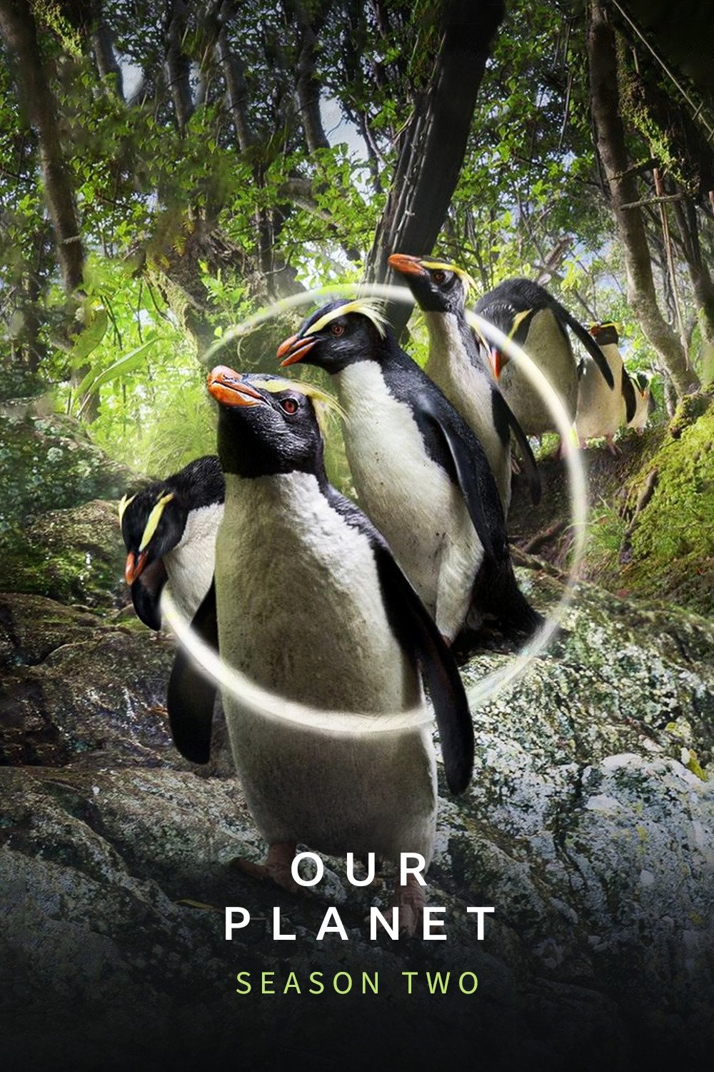 Our Planet (TV Series 2019-2023) - Posters — The Movie Database (TMDB)