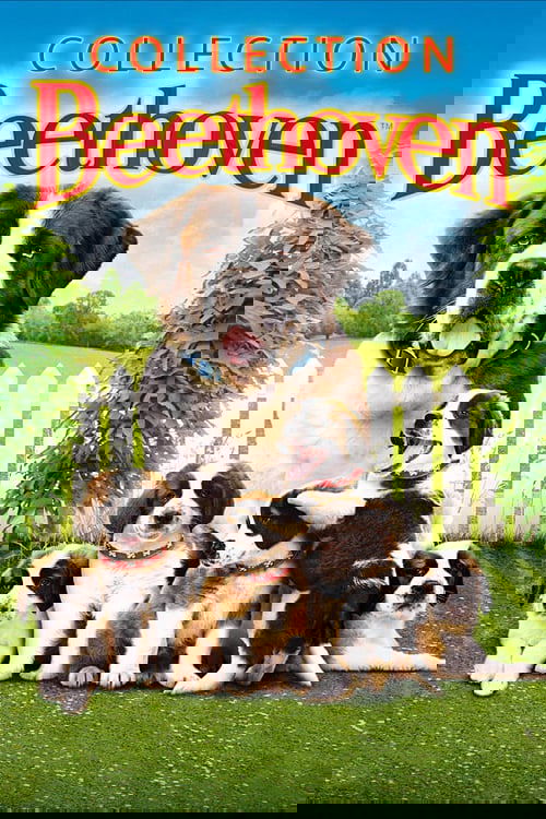 Beethoven Collection - Posters — The Movie Database (TMDB)