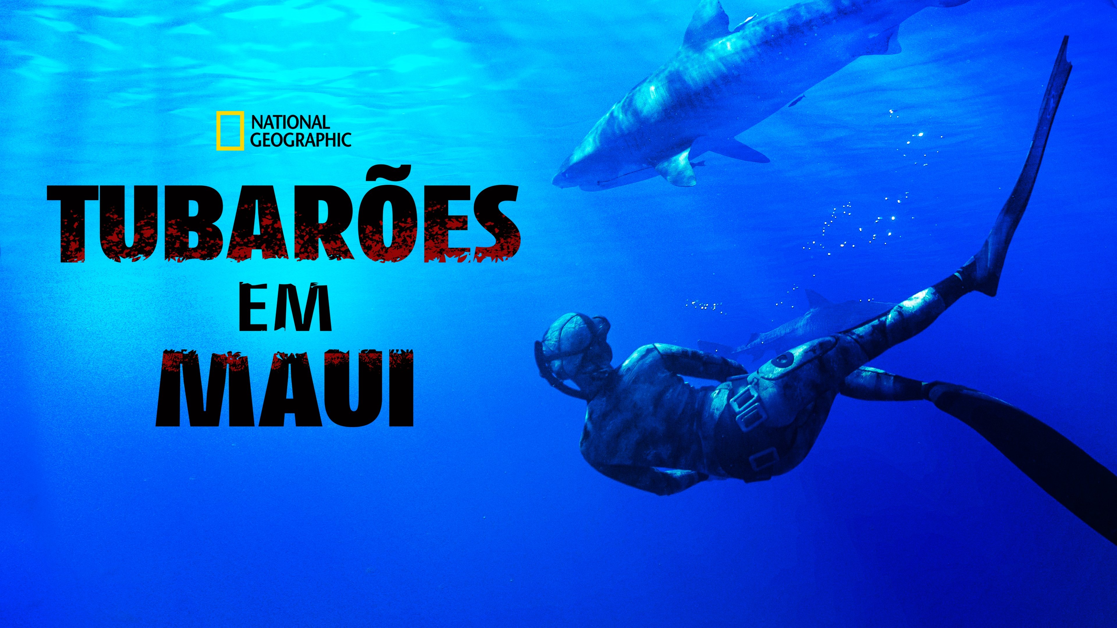 Maui Shark Mystery (2022) - AZ Movies Maui Shark Mystery (2022) - AZ Movies