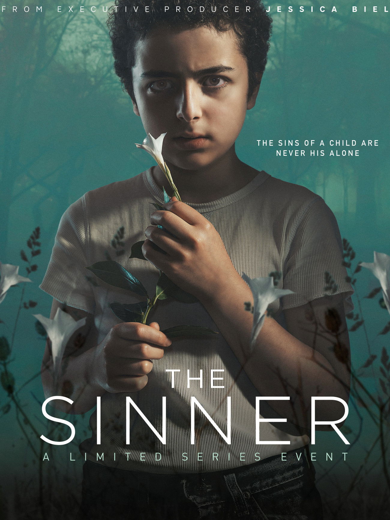 The Sinner (TV Series 2017-2021) - Posters — The Movie Database (TMDB)