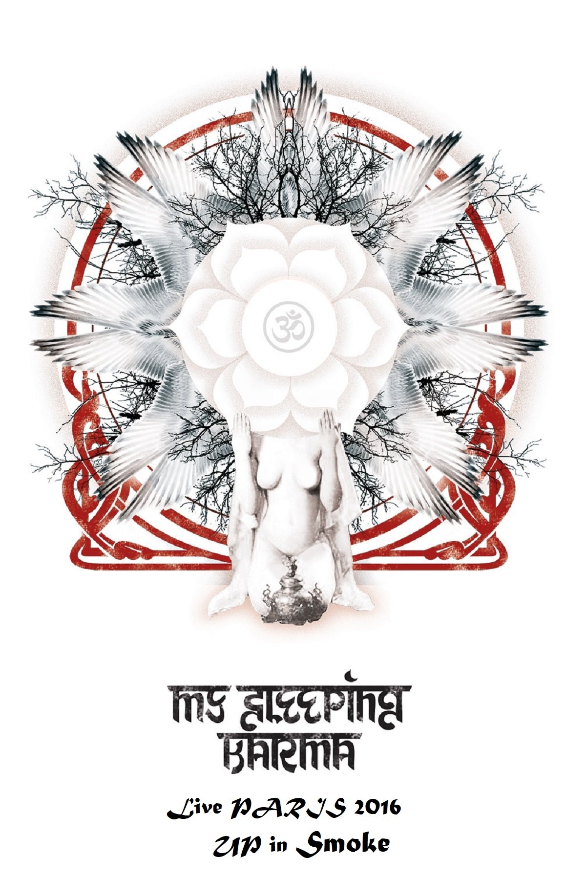 My Sleeping Karma Live In Paris (2016) | The Poster Database (TPDb)