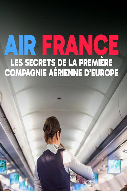 Air France : les secrets de la première compagnie aérienne d'Europe (2025)