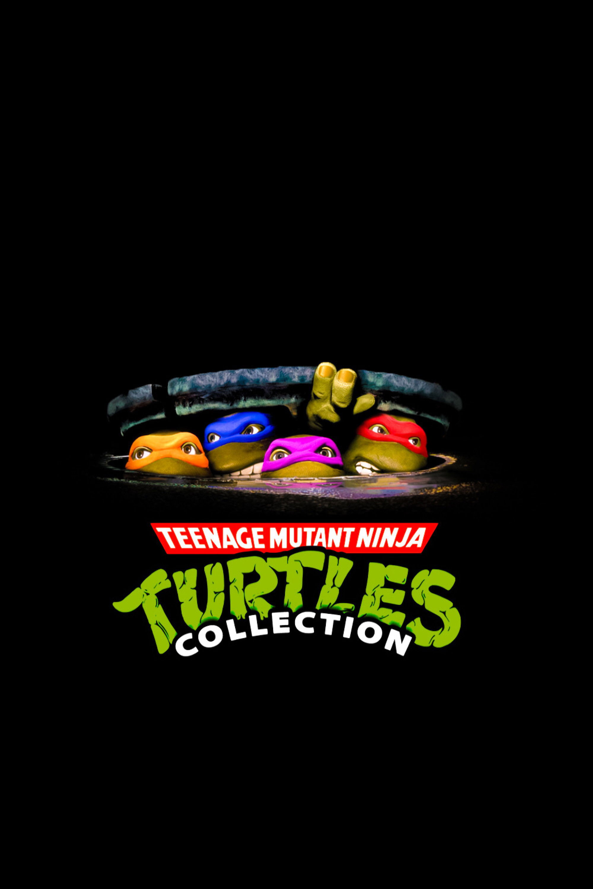 Teenage Mutant Ninja Turtles Collection - Posters — The Movie Database ...