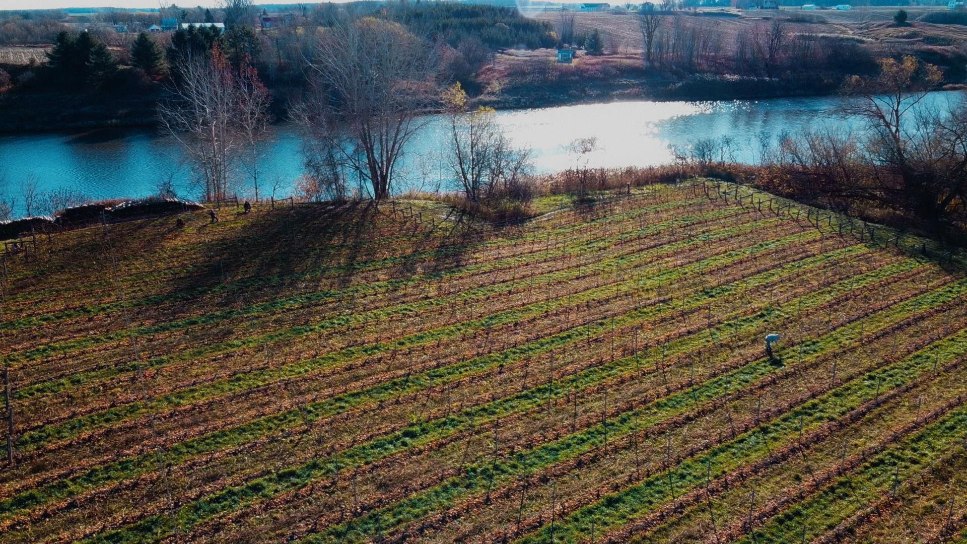 La vigne est belle: Season 1 - Episode 6 (2022) - (S1E6) - Backdrops ...