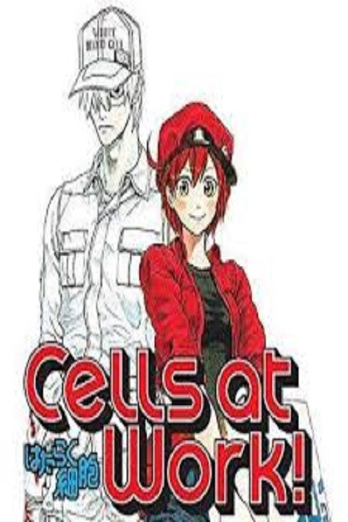 Cells at Work! (TV Series 2018-2021) - Posters — The Movie Database (TMDB)