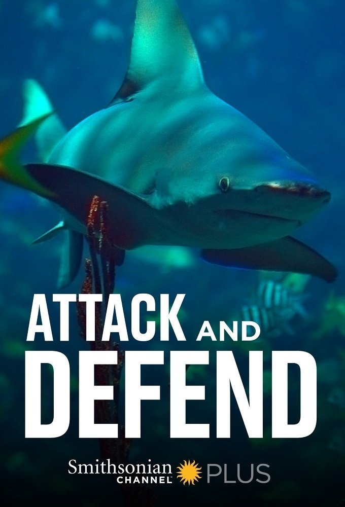 Attack and Defend (TV Series 2015-2016) - Posters — The Movie Database ...