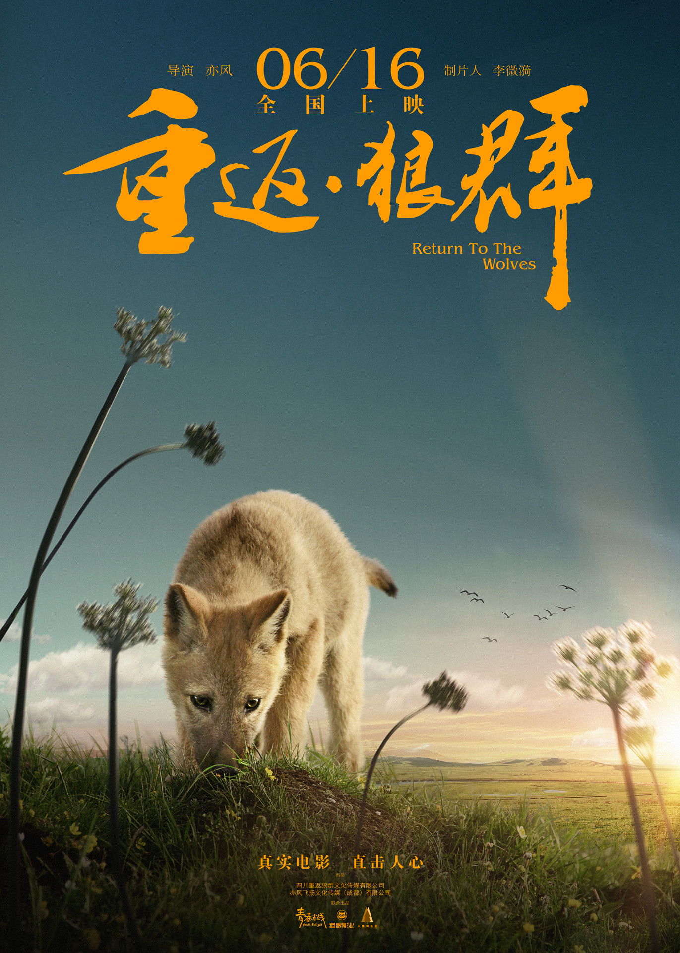 Return to the Wolves (2017) - Posters — The Movie Database (TMDB)