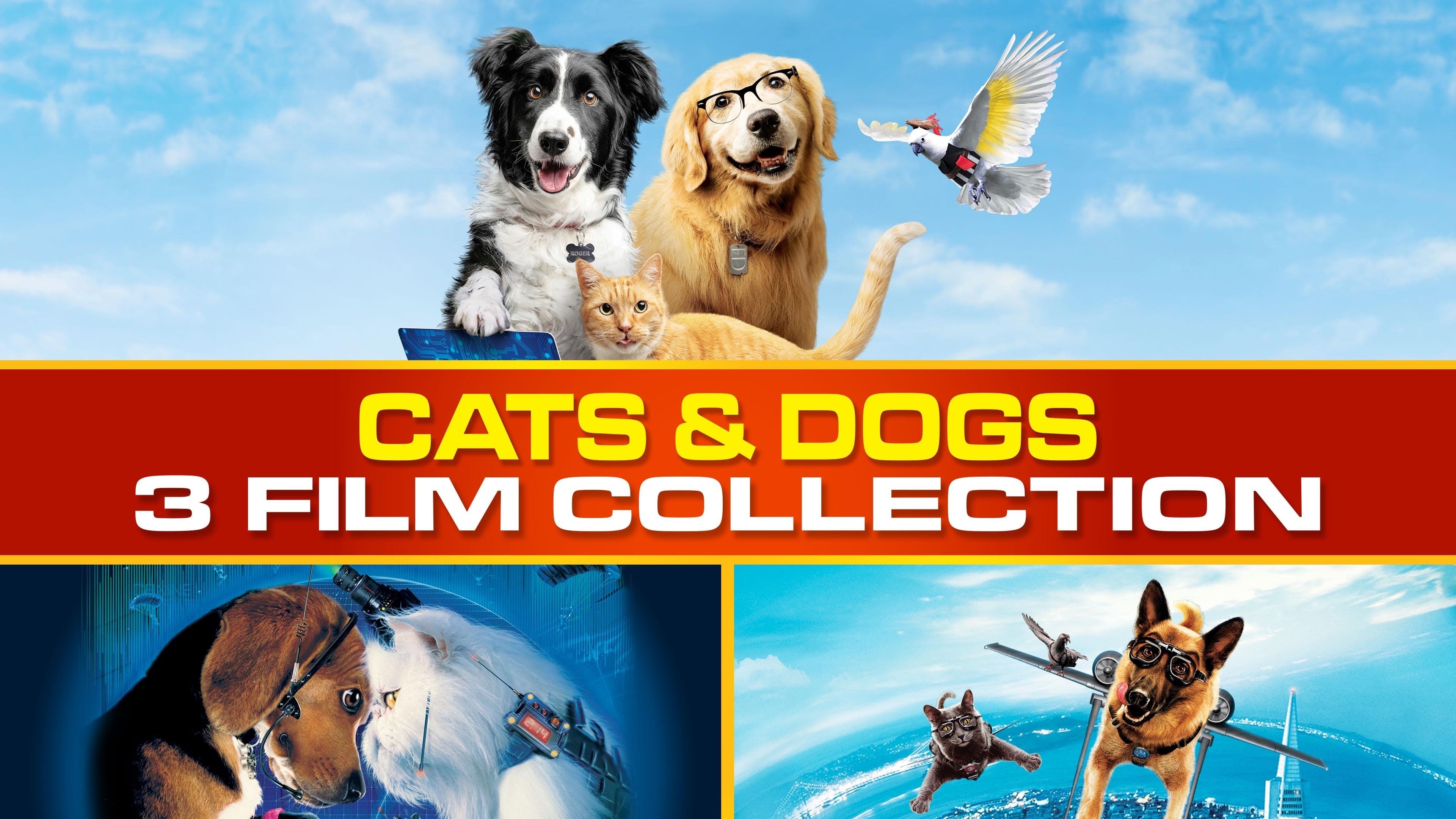Cats & Dogs Collection - Backdrops — The Movie Database (TMDB)