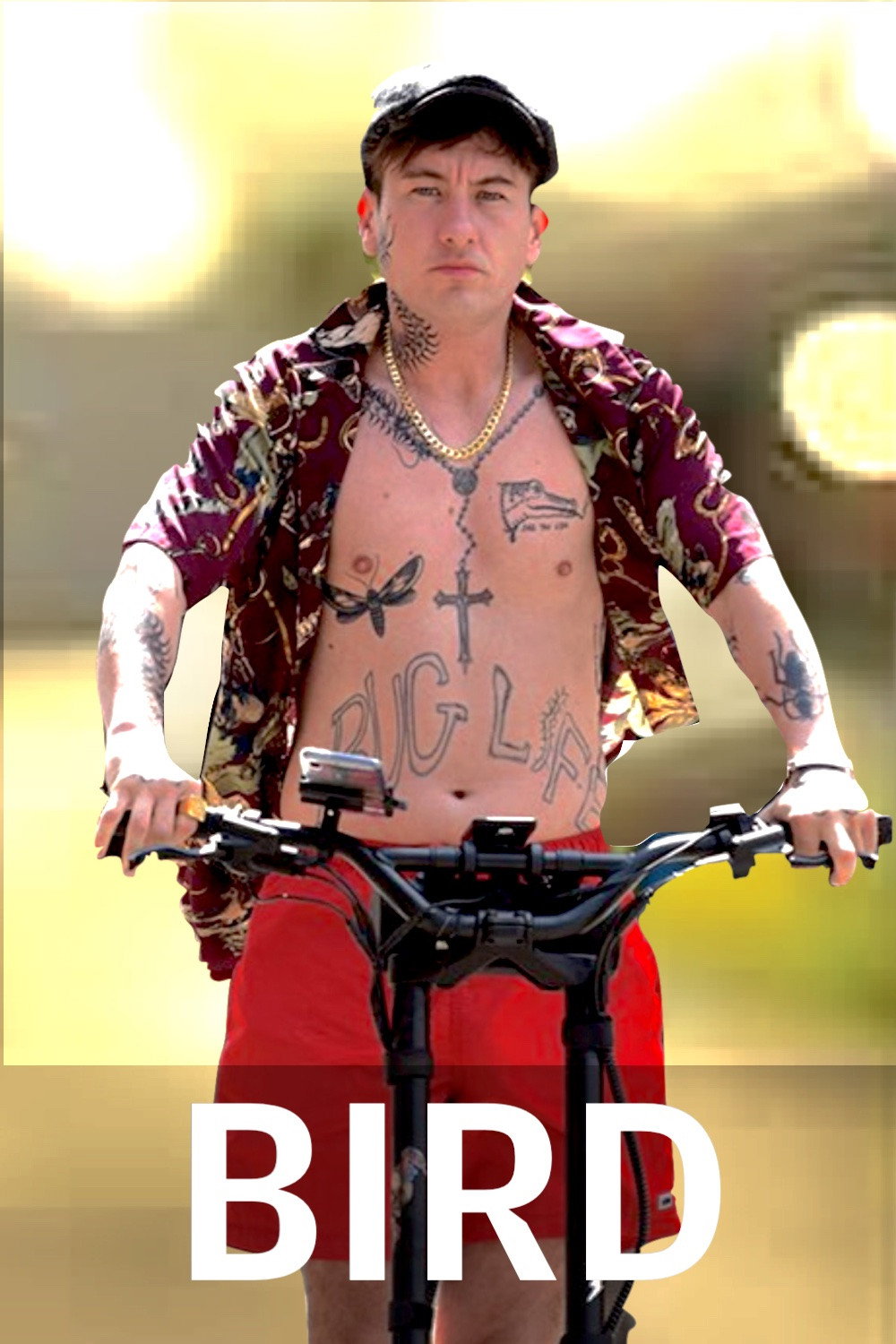 Bird (2024) - Posters — The Movie Database (TMDB)