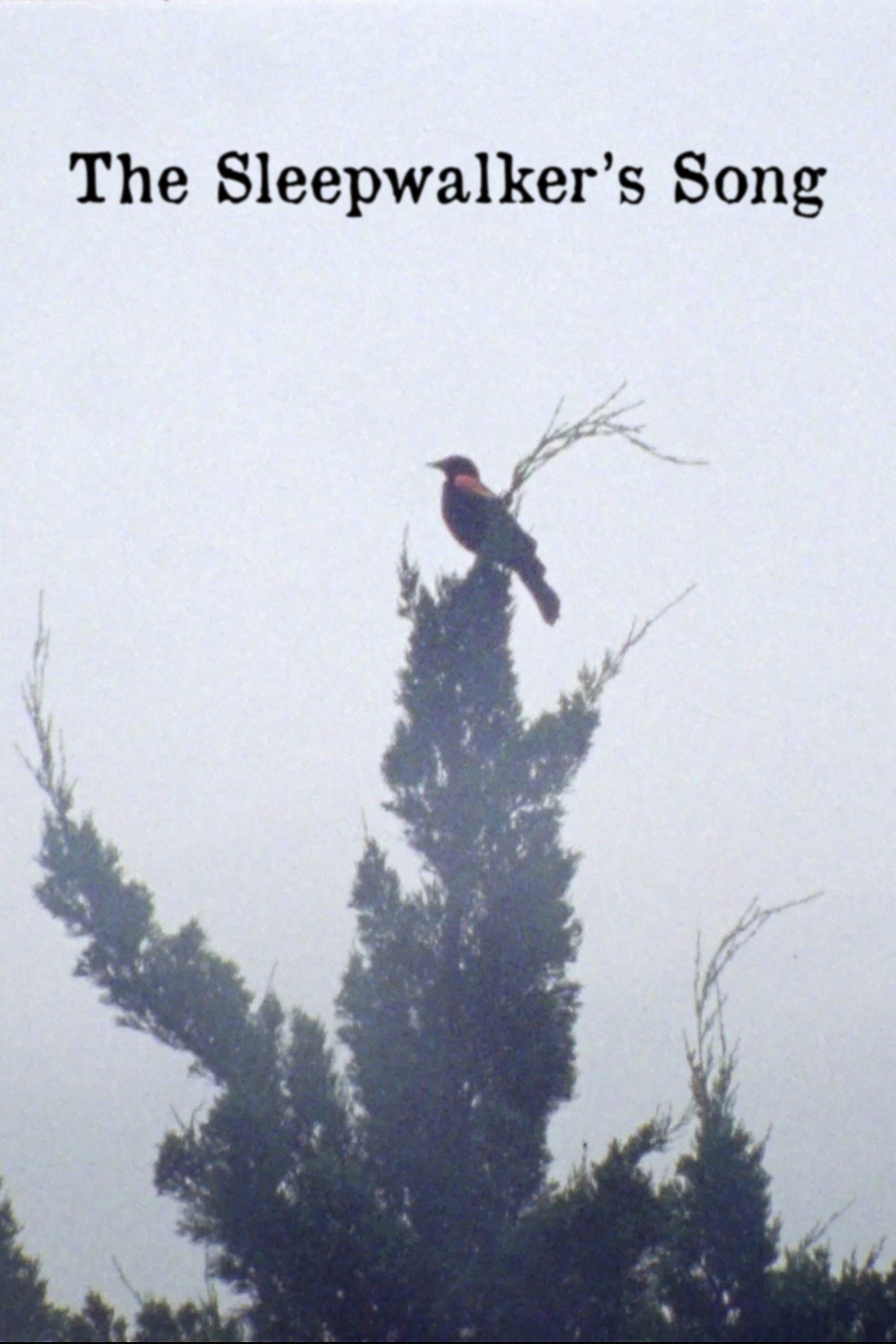 The Sleepwalker’s Song - Posters — The Movie Database (TMDB)