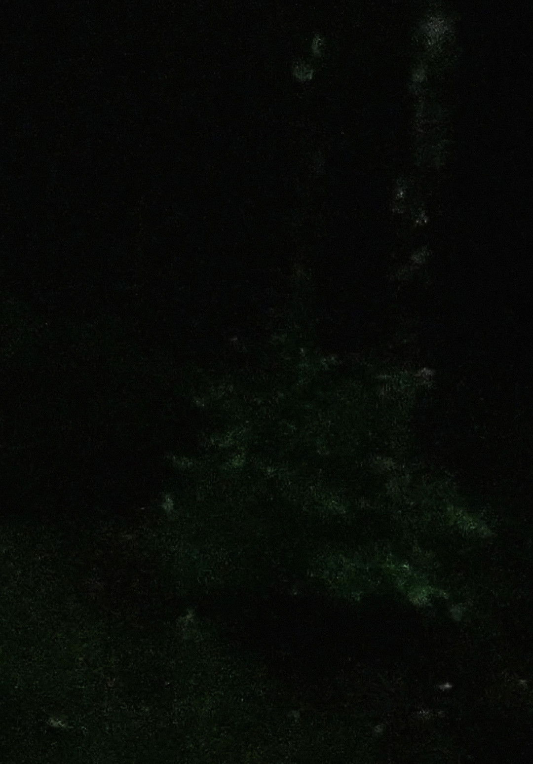 light rain, empty mind (2023) - Posters — The Movie Database (TMDB)