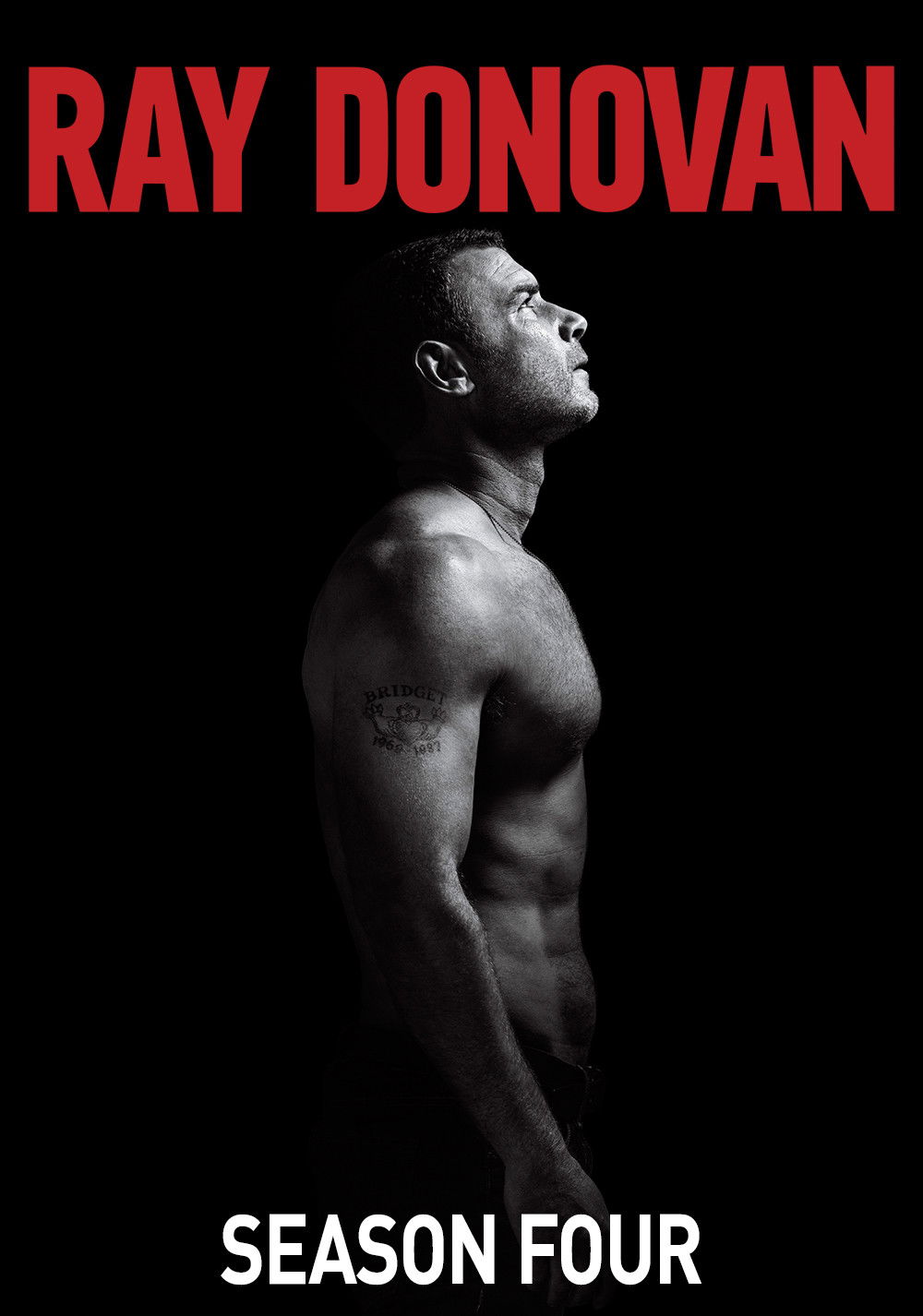 Ray Donovan (TV Series 2013-2020) - Posters — The Movie Database (TMDB)
