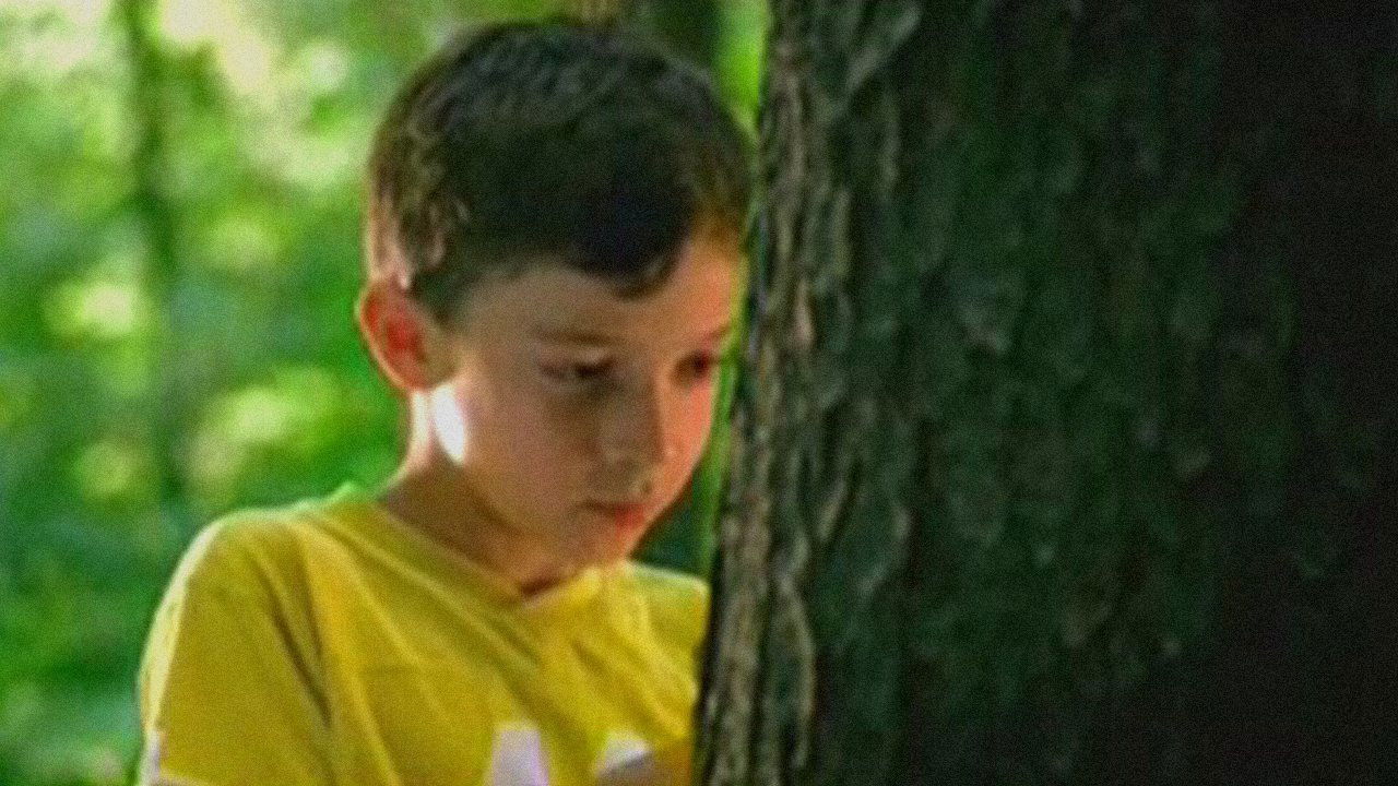 Foretaste of Spring (2007) - Backdrops — The Movie Database (TMDB)