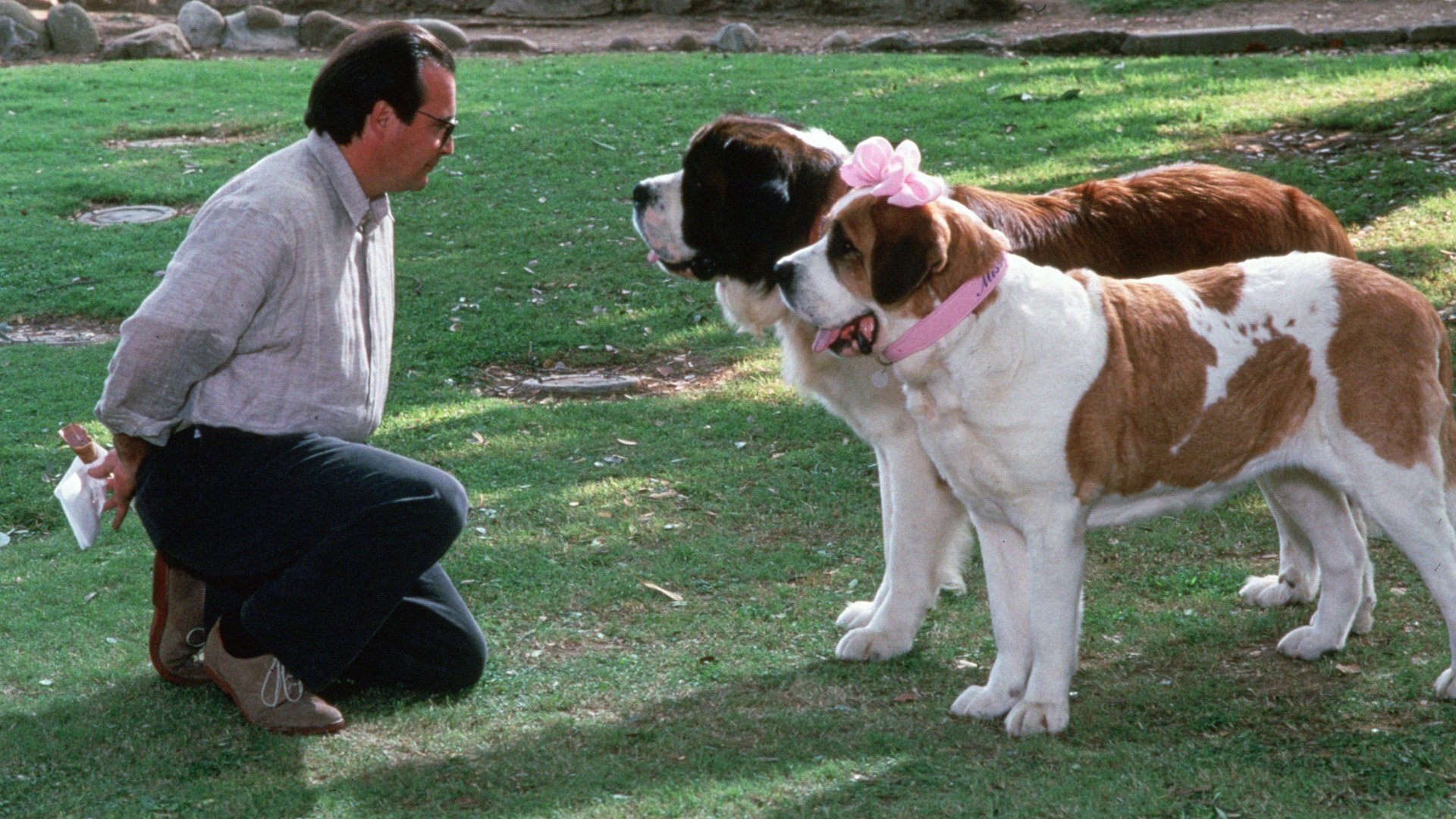 Beethoven's 2nd (1993) Full Movie Beethoven's 2nd (1993) Full Movie