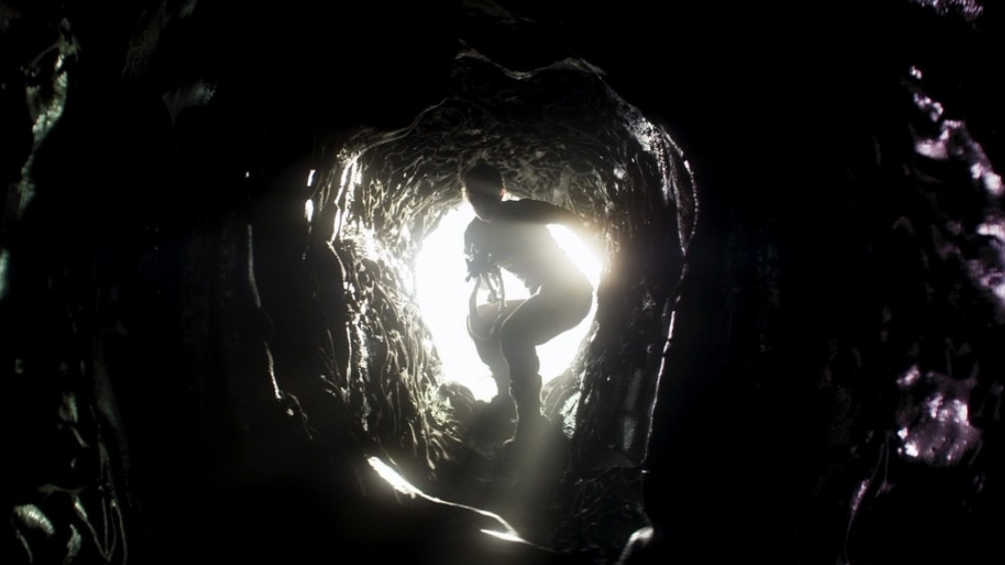 Annihilation (2018) - Backdrops — The Movie Database (TMDB)