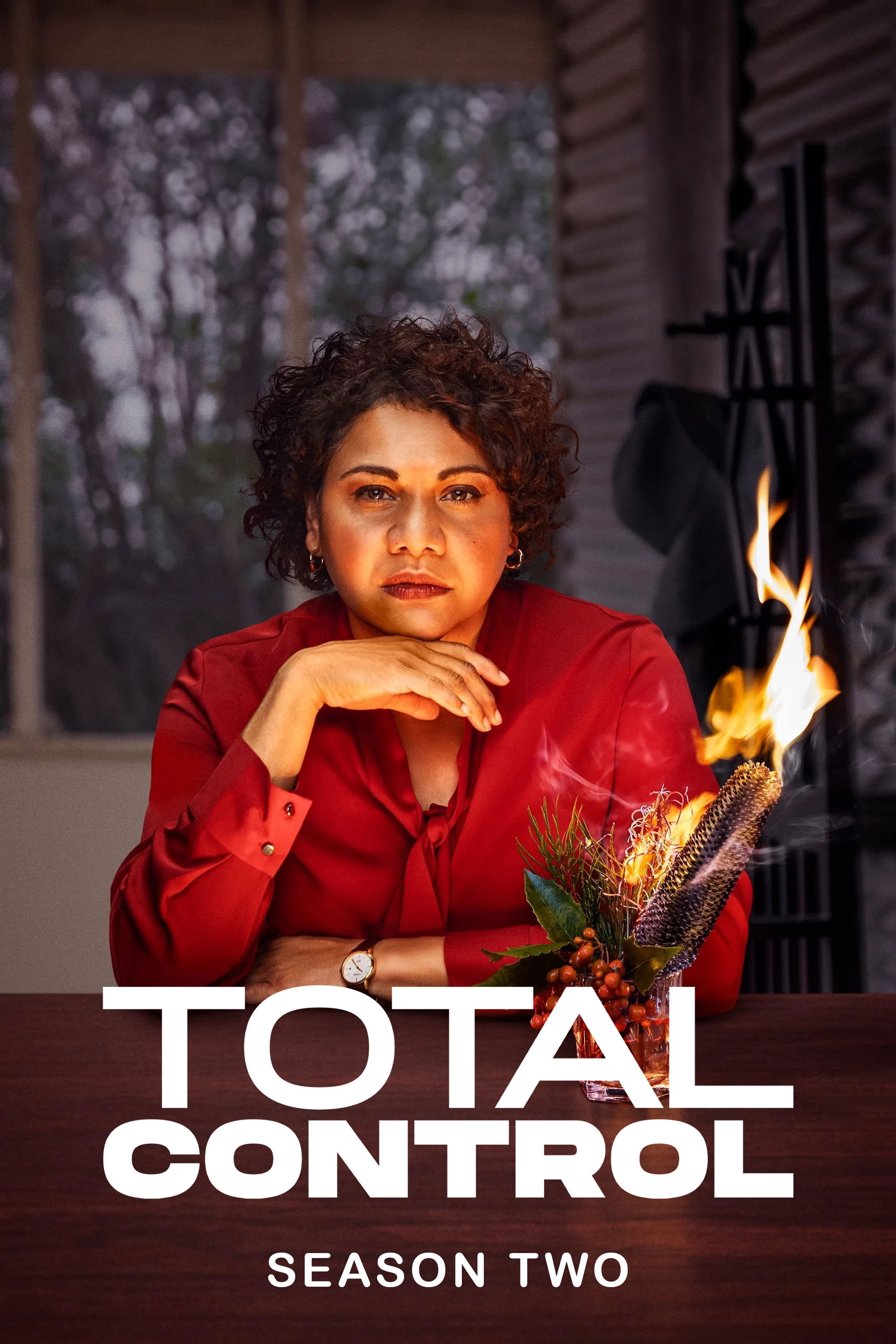 Total Control (TV Series 2019-2024) - Posters — The Movie Database (TMDB)