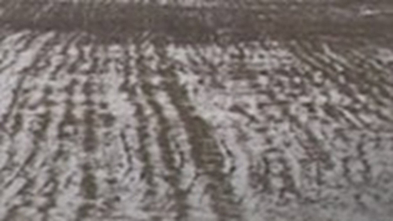 Hopeless Land (2009) - Backdrops — The Movie Database (TMDB)