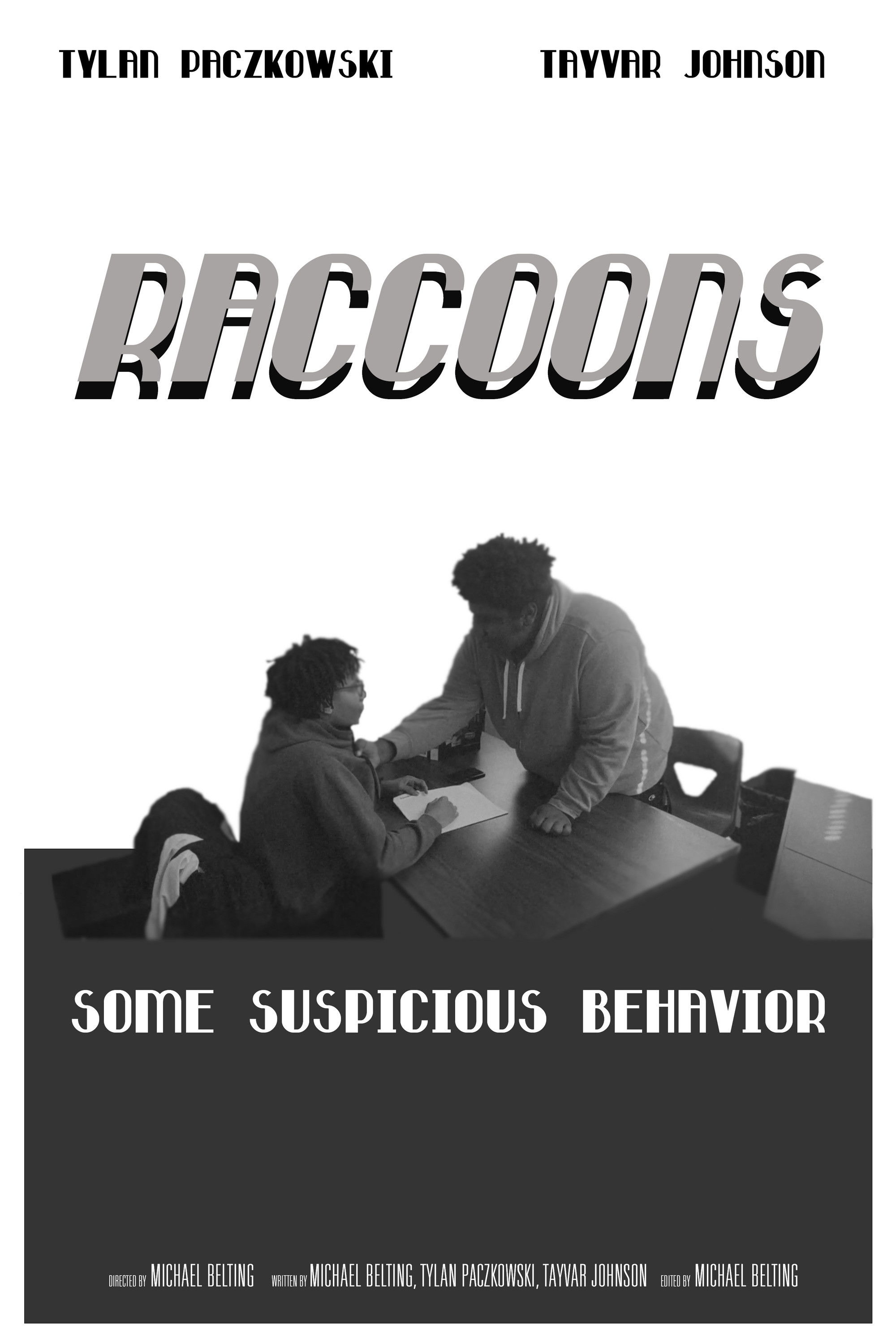 RACCOONS - Posters — The Movie Database (TMDB)