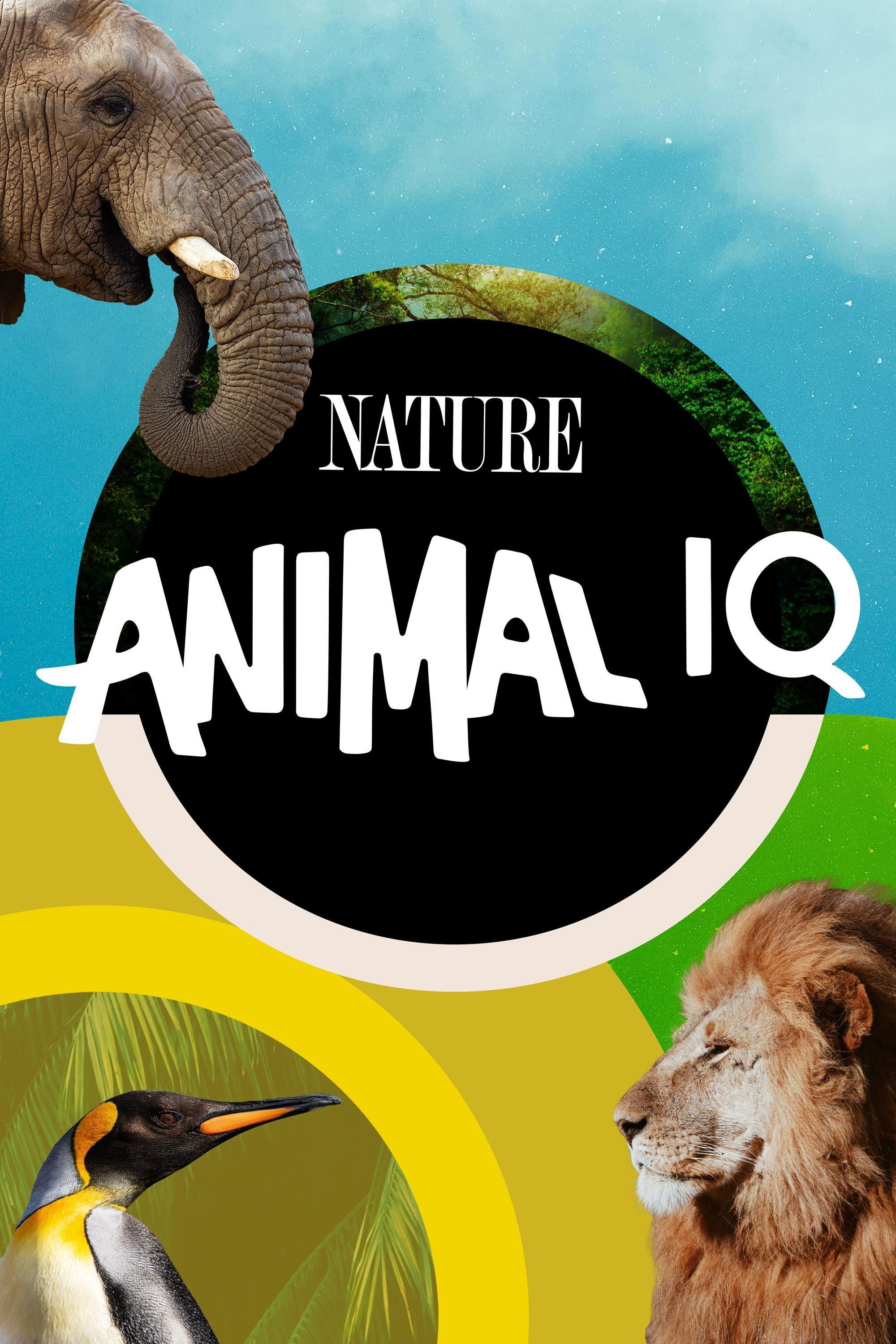 Animal IQ (TV Series 2021- ) - Posters — The Movie Database (TMDB)