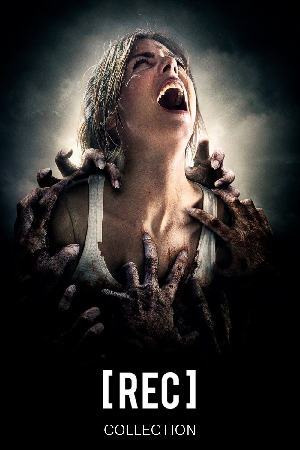 [REC] Collection | The Poster Database (TPDb)