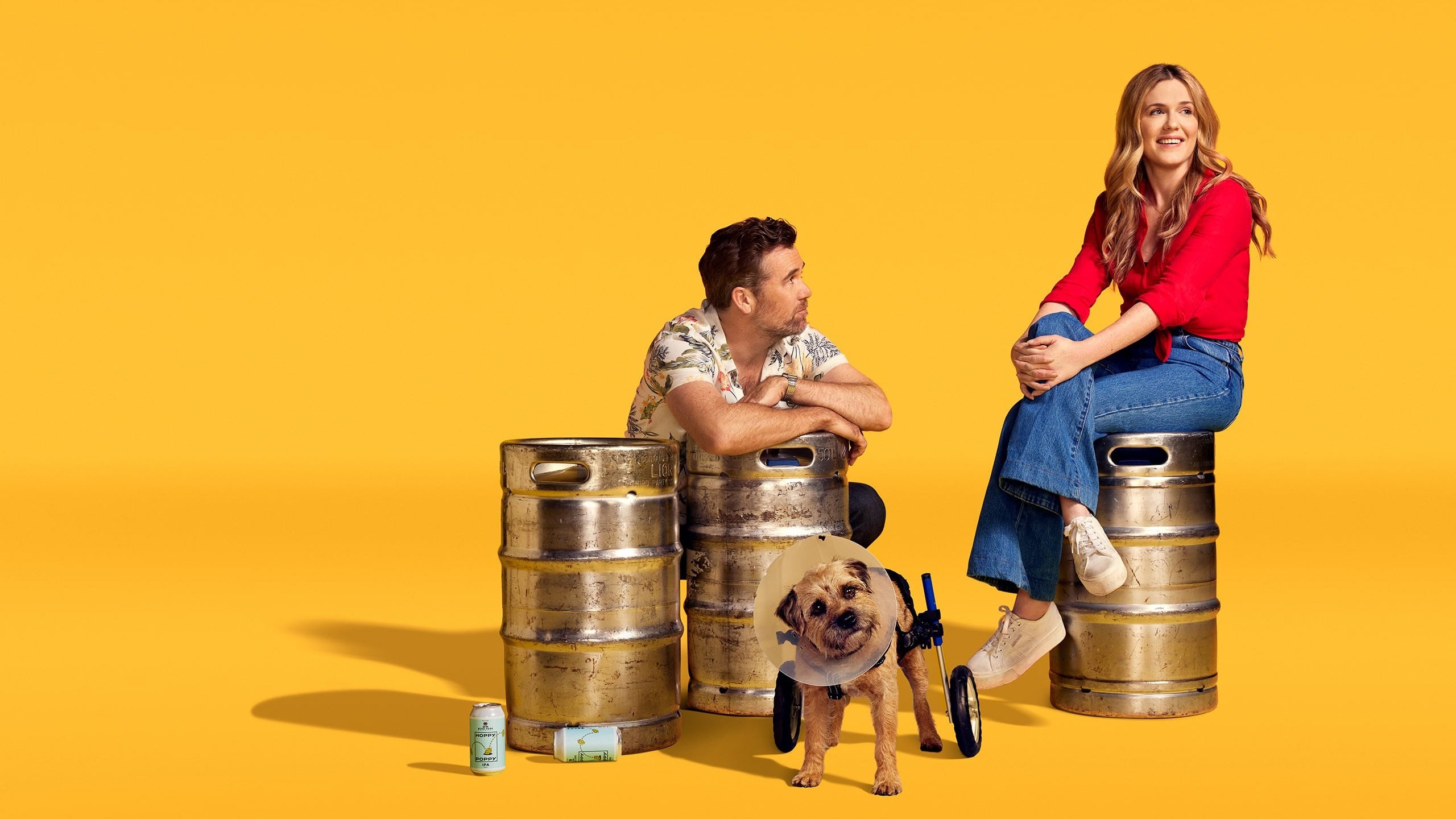 Colin From Accounts Espa ol Latino Online Descargar 1080p