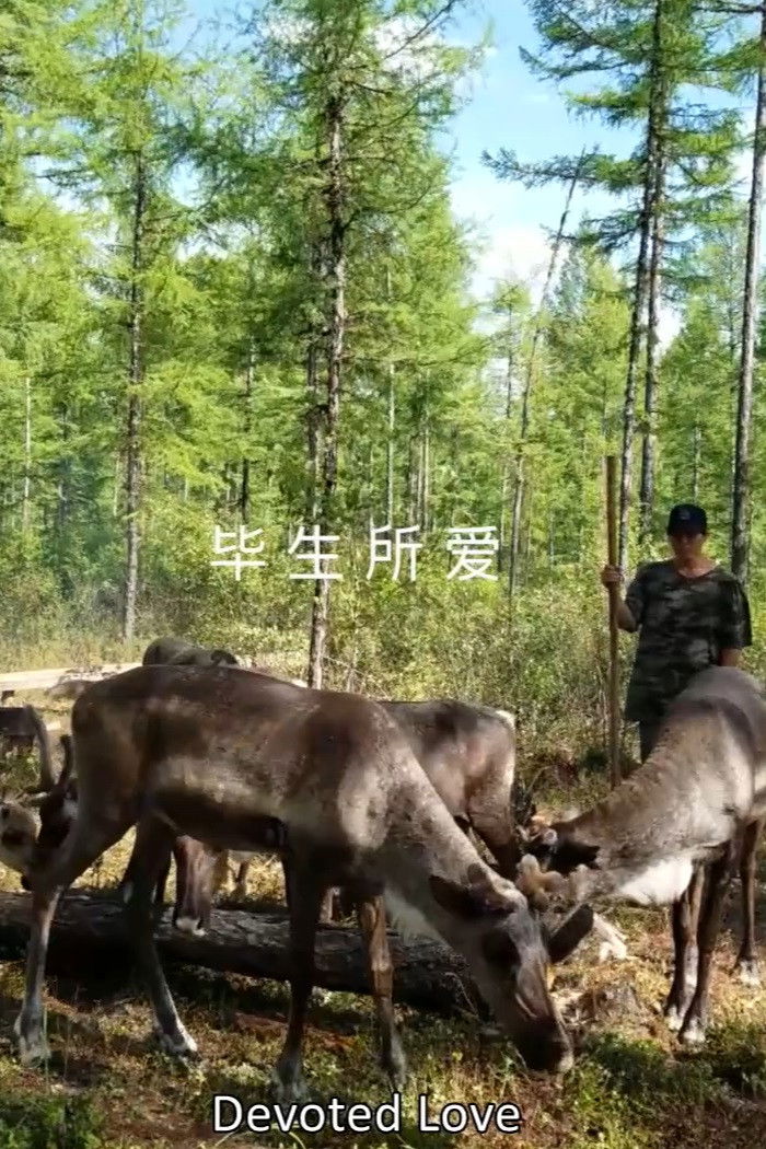 Devoted Love (2016) - Posters — The Movie Database (TMDB)