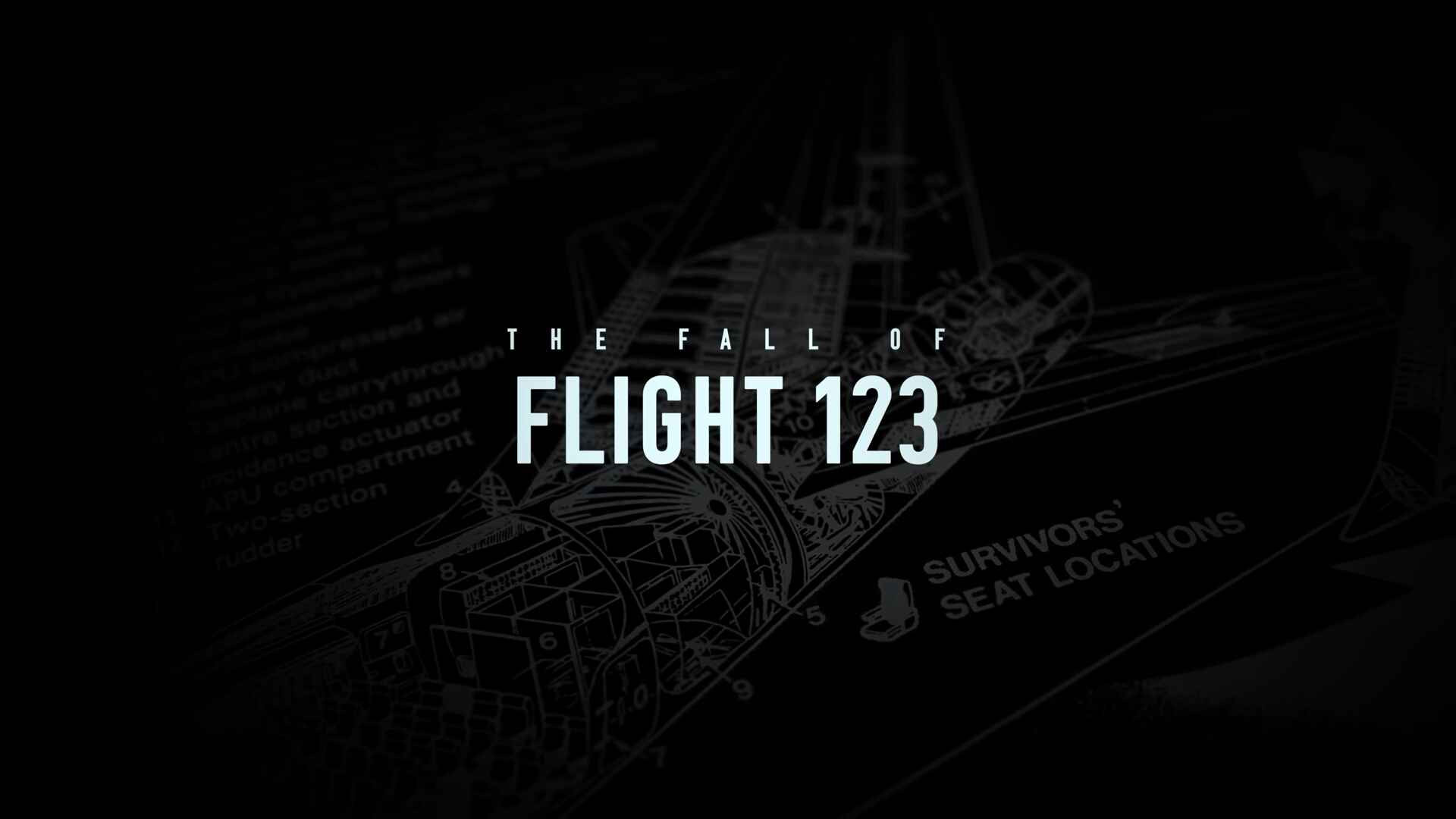 The Fall of Flight 123 (2024) - AZ Movies