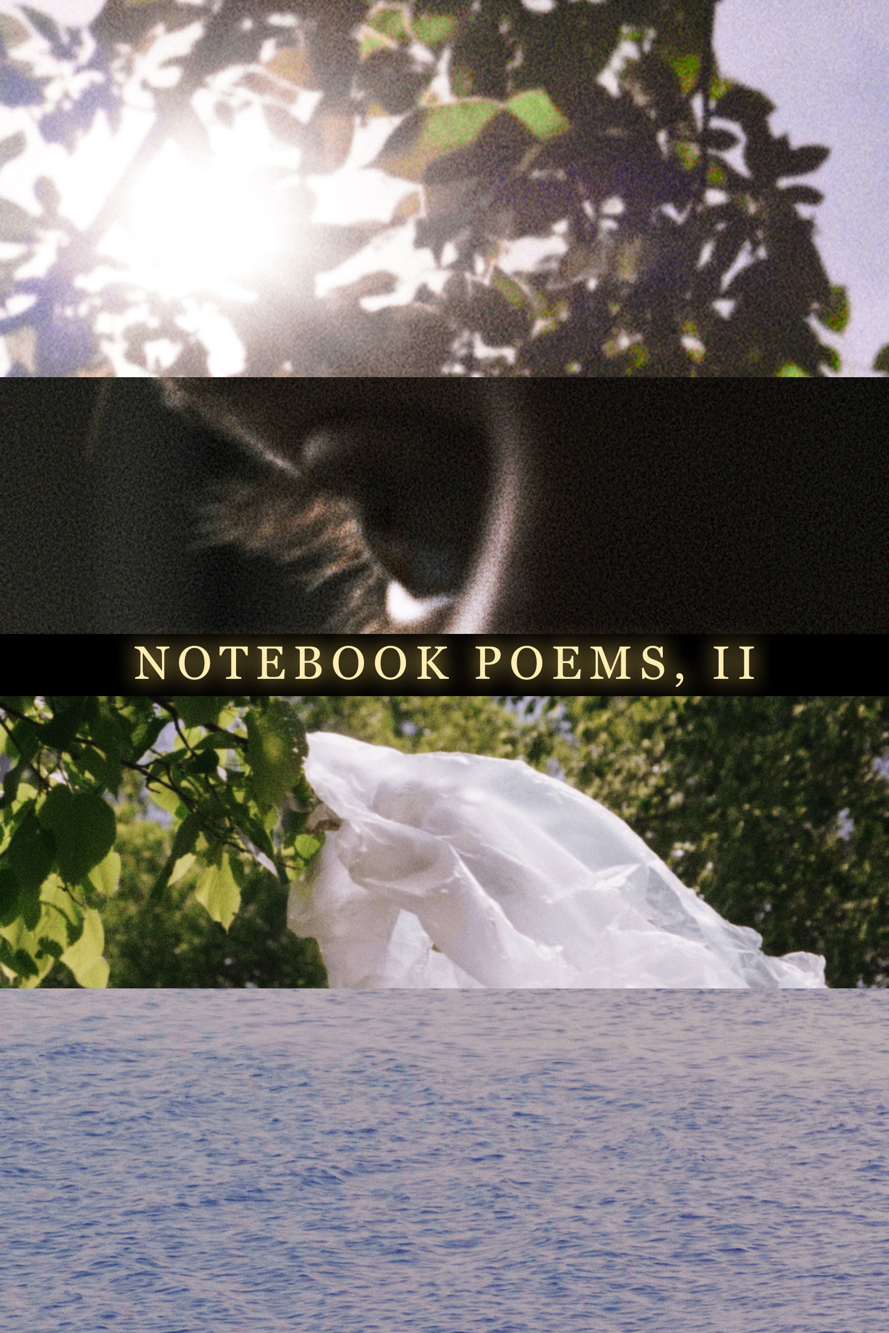 Notebook Poems, Vol. 2 (2020) | The Poster Database (TPDb)