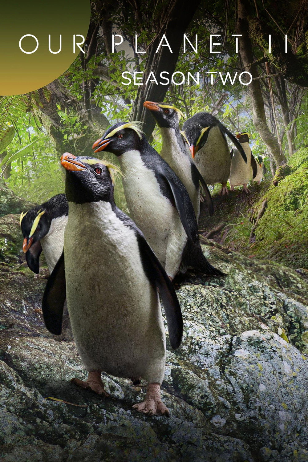 Our Planet (TV Series 2019-2023) - Posters — The Movie Database (TMDB)