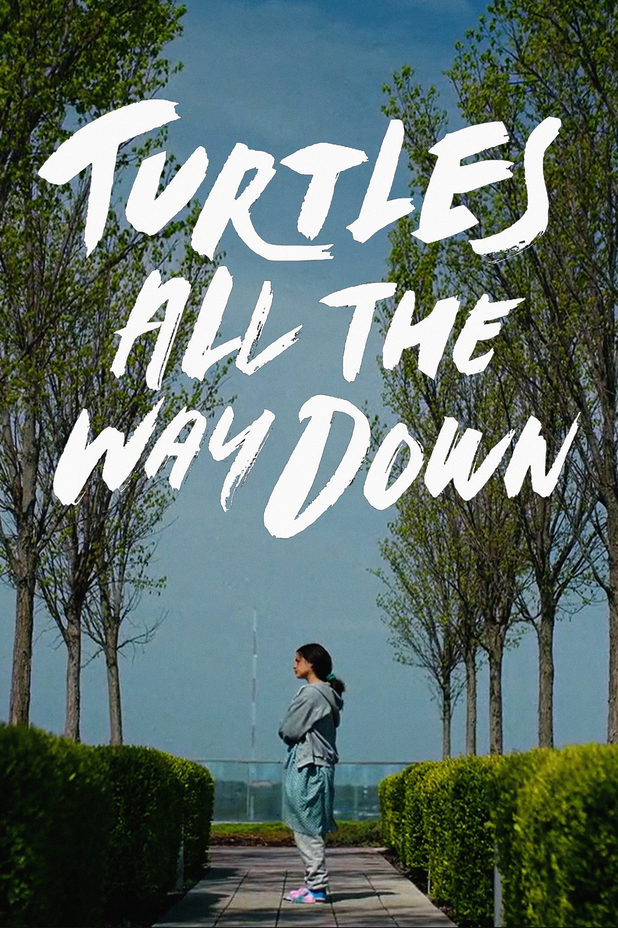 Turtles All the Way Down (2024) - Posters — The Movie Database (TMDB)