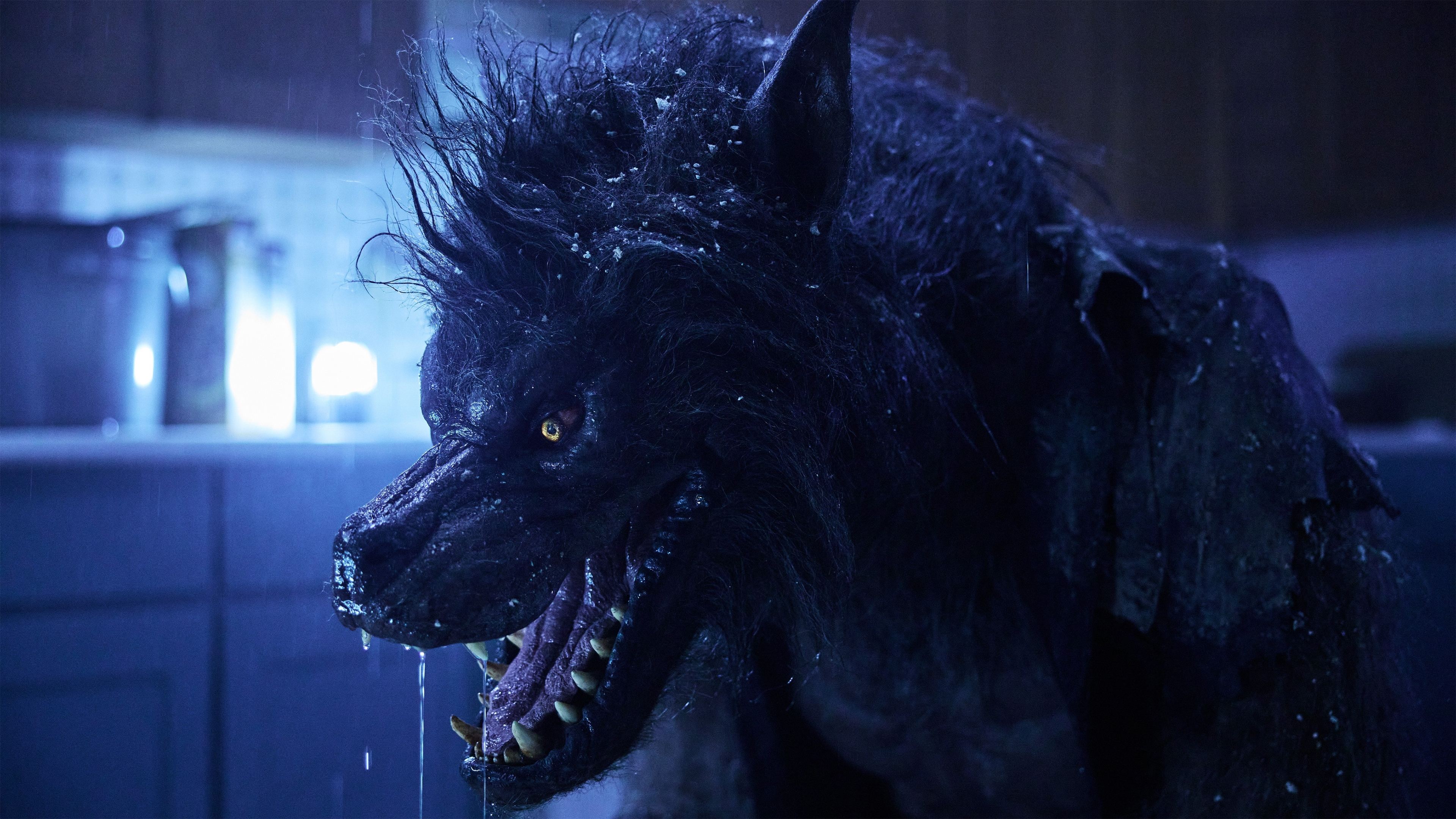 Werewolves (2024) - Backdrops — The Movie Database (TMDB) Werewolves (2024) - Backdrops — The Movie Database (TMDB)