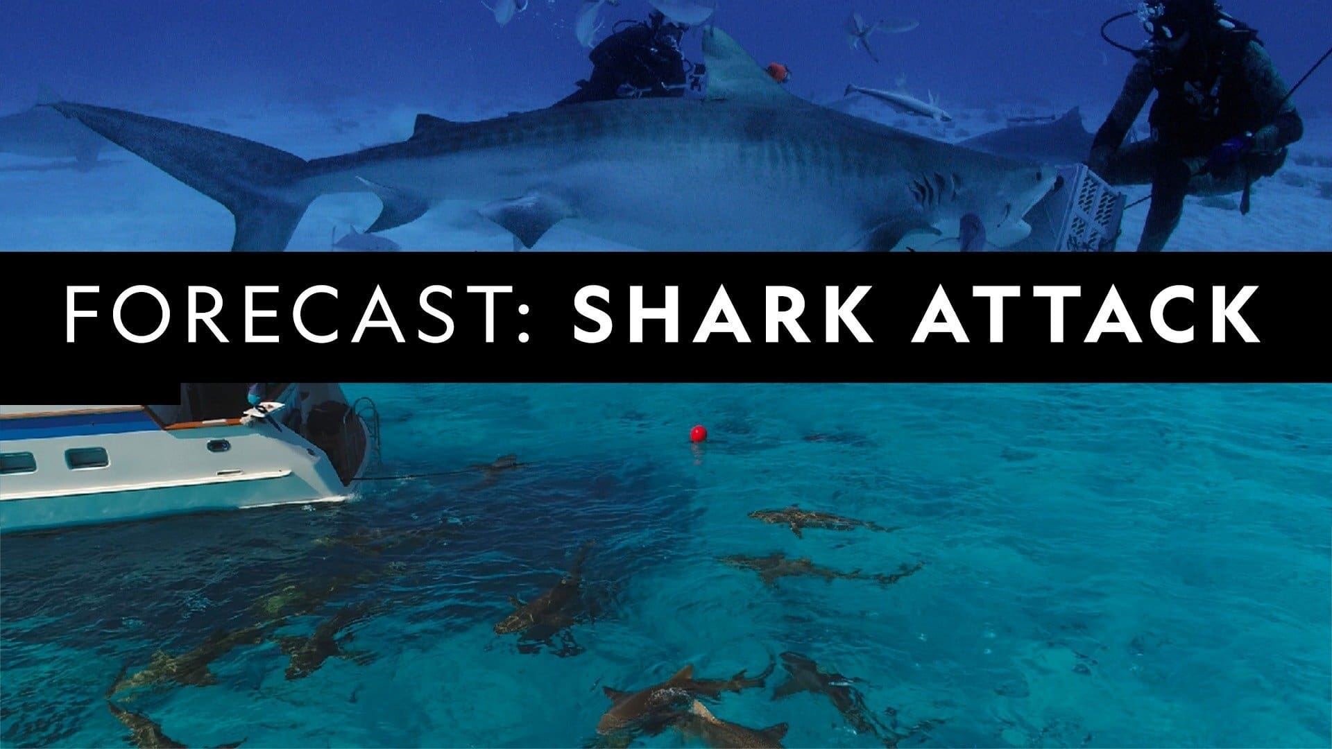 Watch Forecast Shark Attack (2019) Full Movie Online - Plex