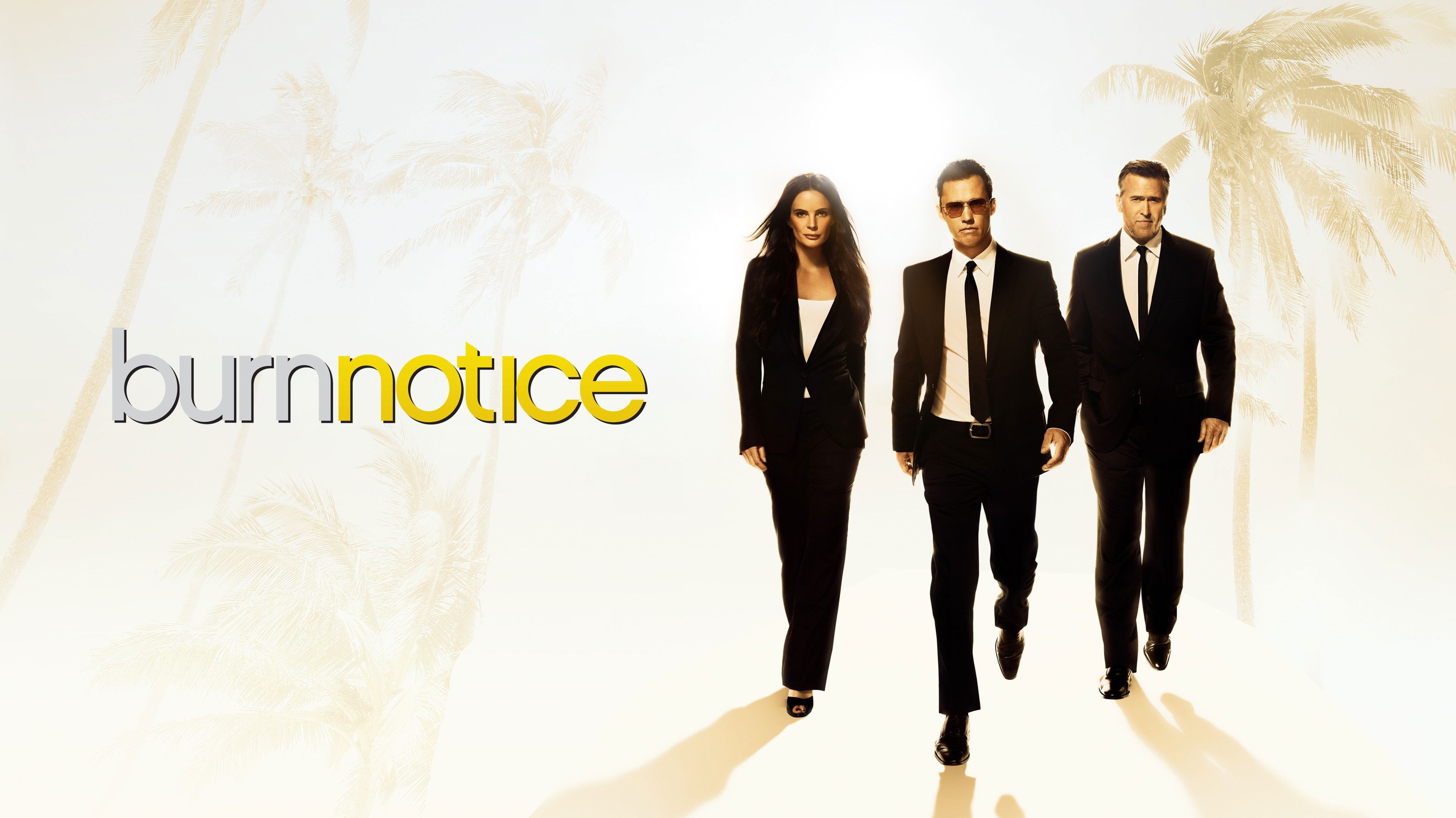 Media - Burn Notice (Serie, 2007 - 2013)