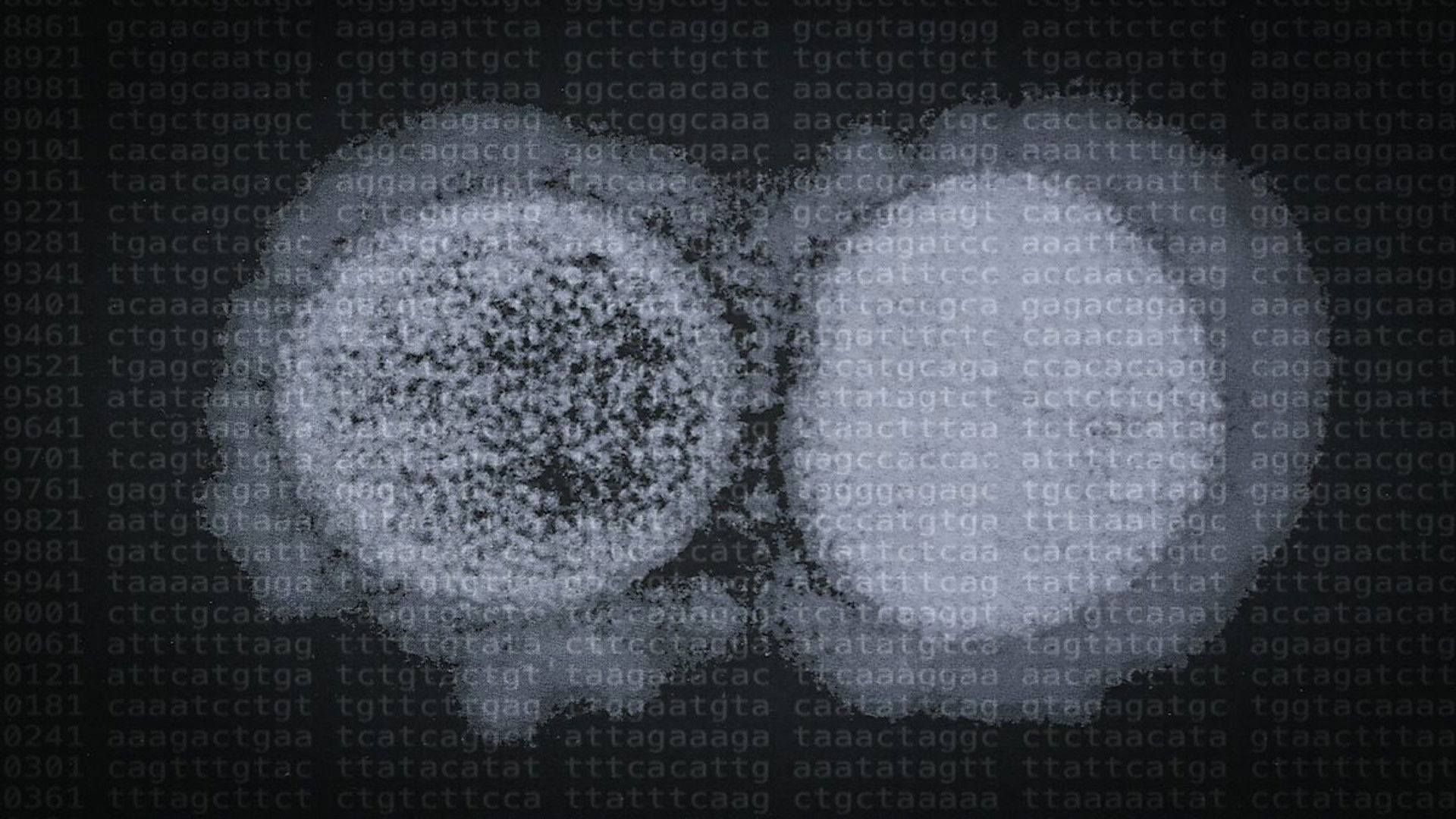 54 Days (TV Series 2021-2021) - Backdrops — The Movie Database (TMDB)