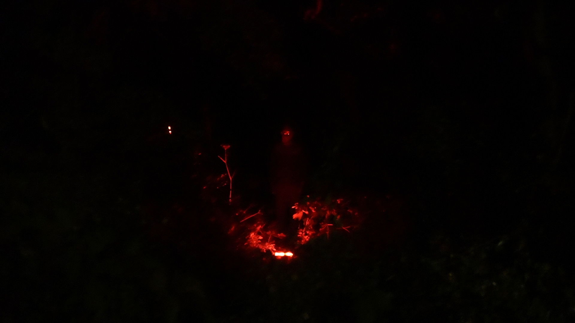 The Bugman (2024) - AZ Movies