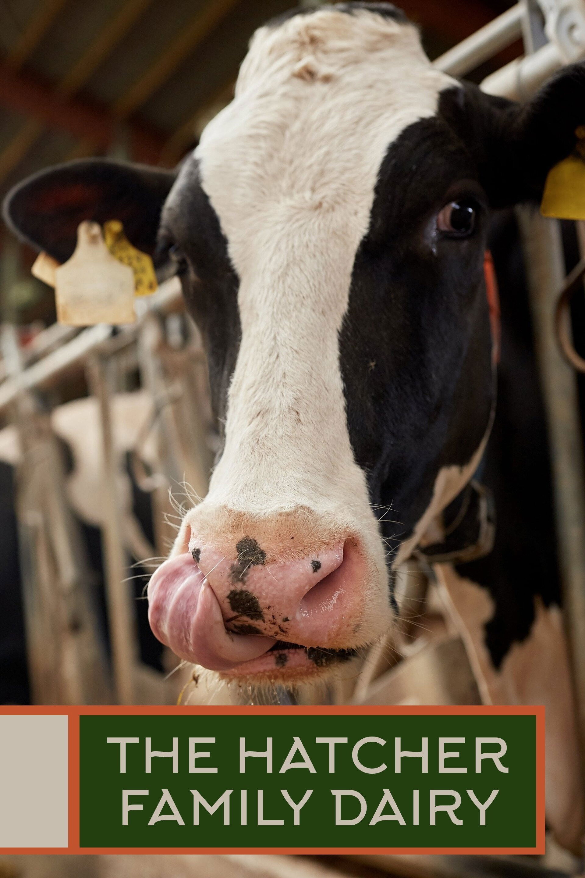 The Hatcher Family Dairy (TV Series 2021- ) - Posters — The Movie ...