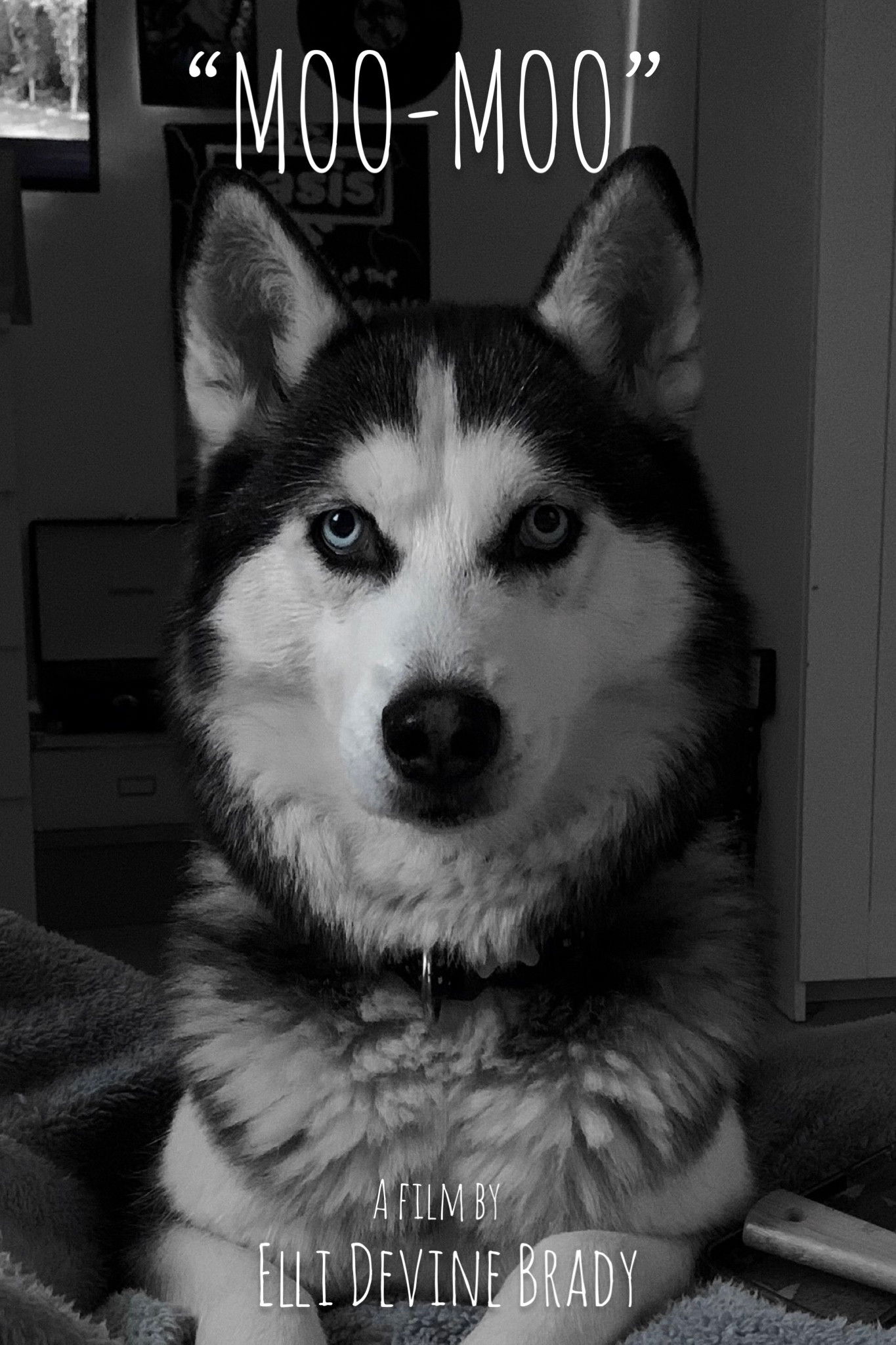 Moo-Moo - Posters — The Movie Database (TMDB)