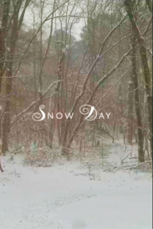 Snow Day (2022) | The Poster Database (TPDb)