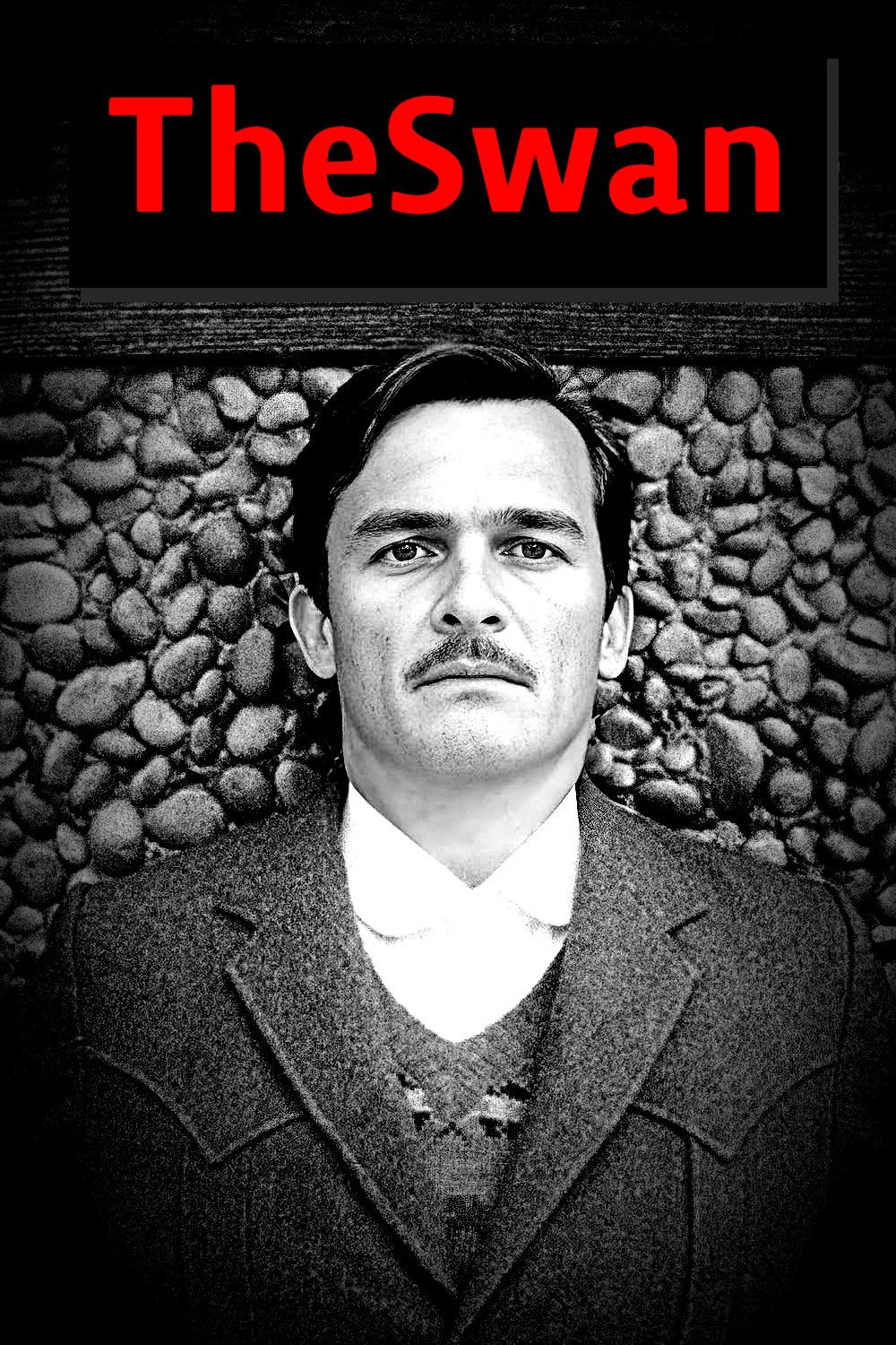 The Swan (2023) - Posters — The Movie Database (TMDB)