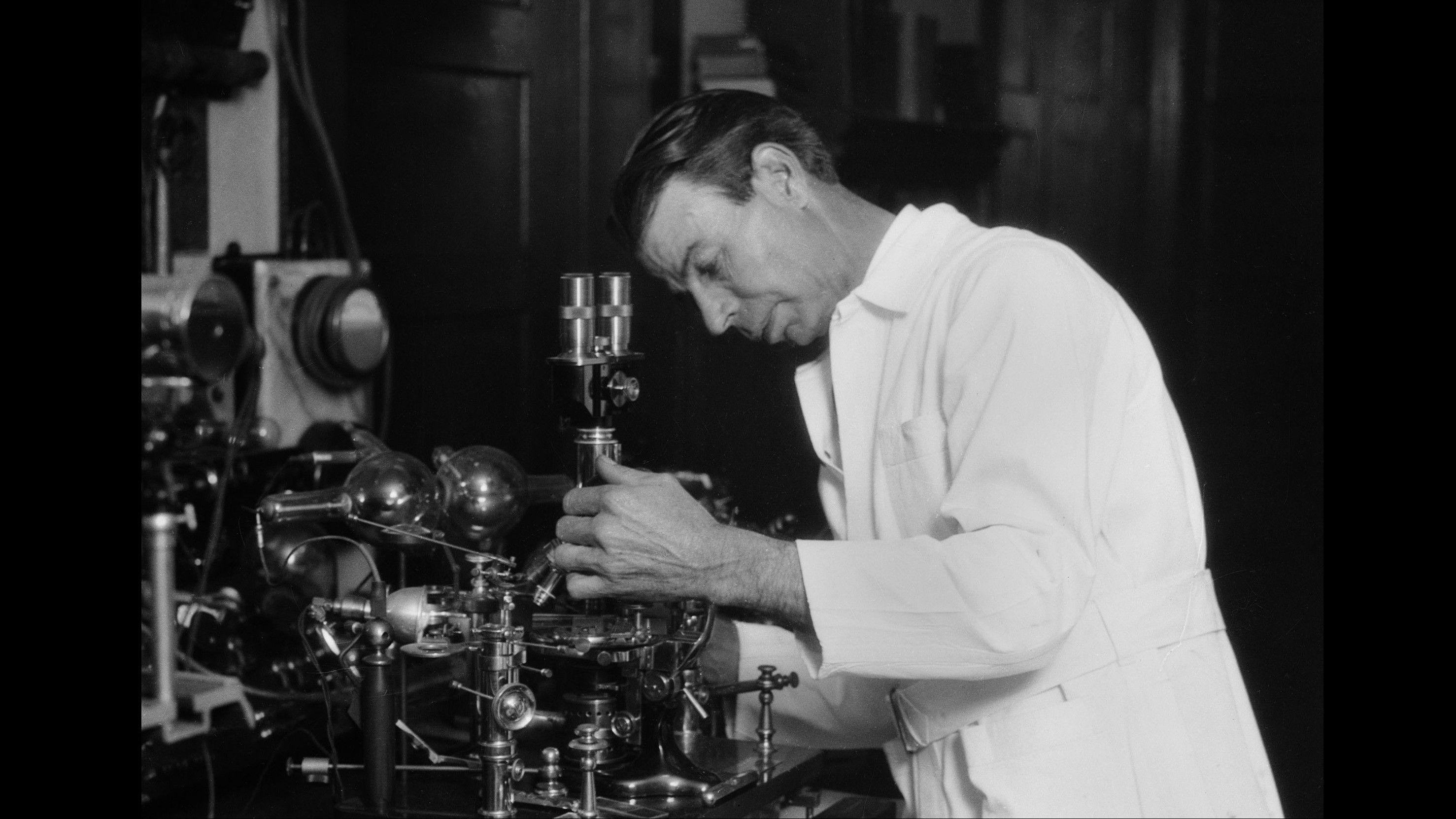 The Rise and Fall of a Scientific Genius (2014) - Backdrops — The Movie ...