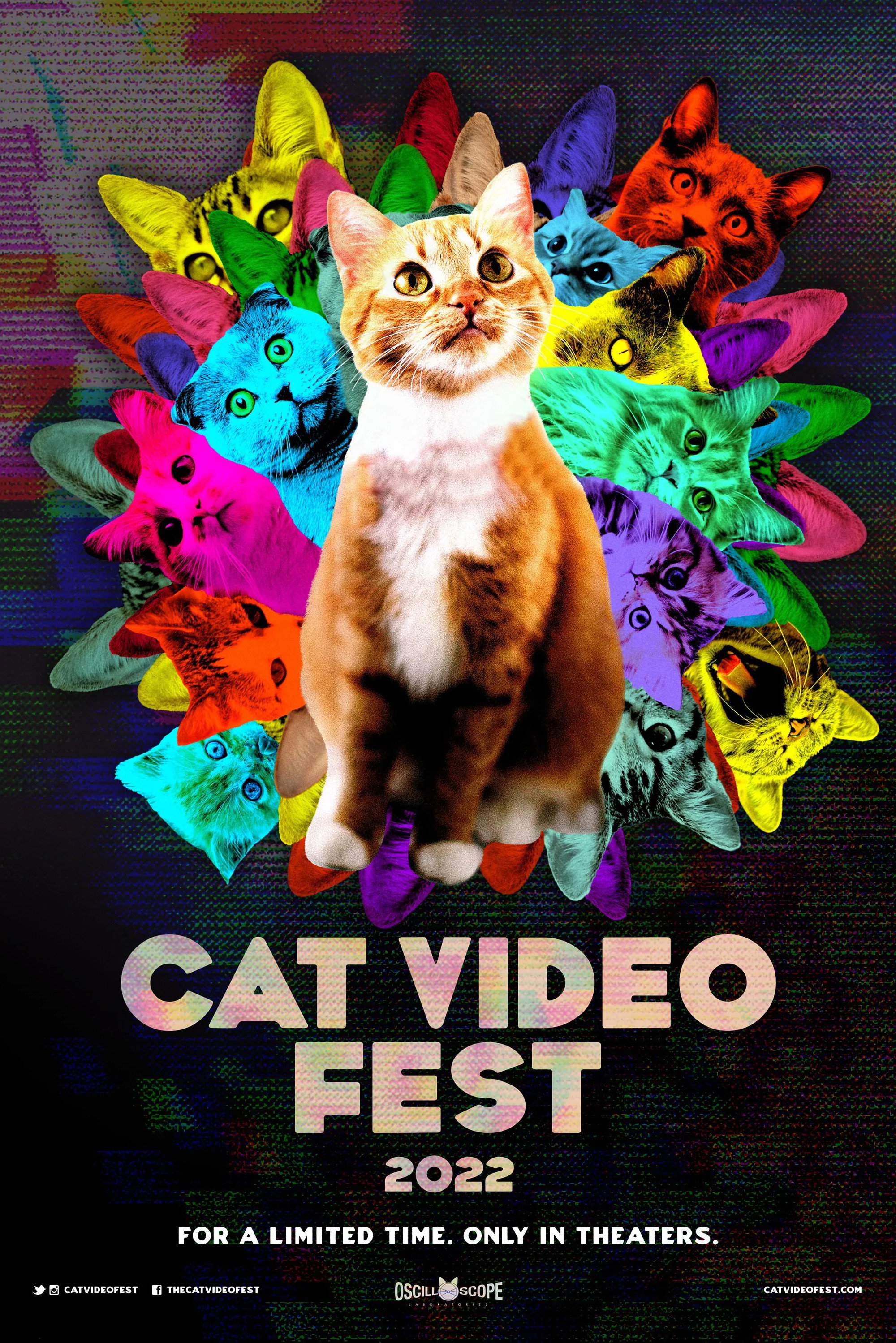 Cat Video Fest 2022 (2022) - Posters — The Movie Database (TMDB)