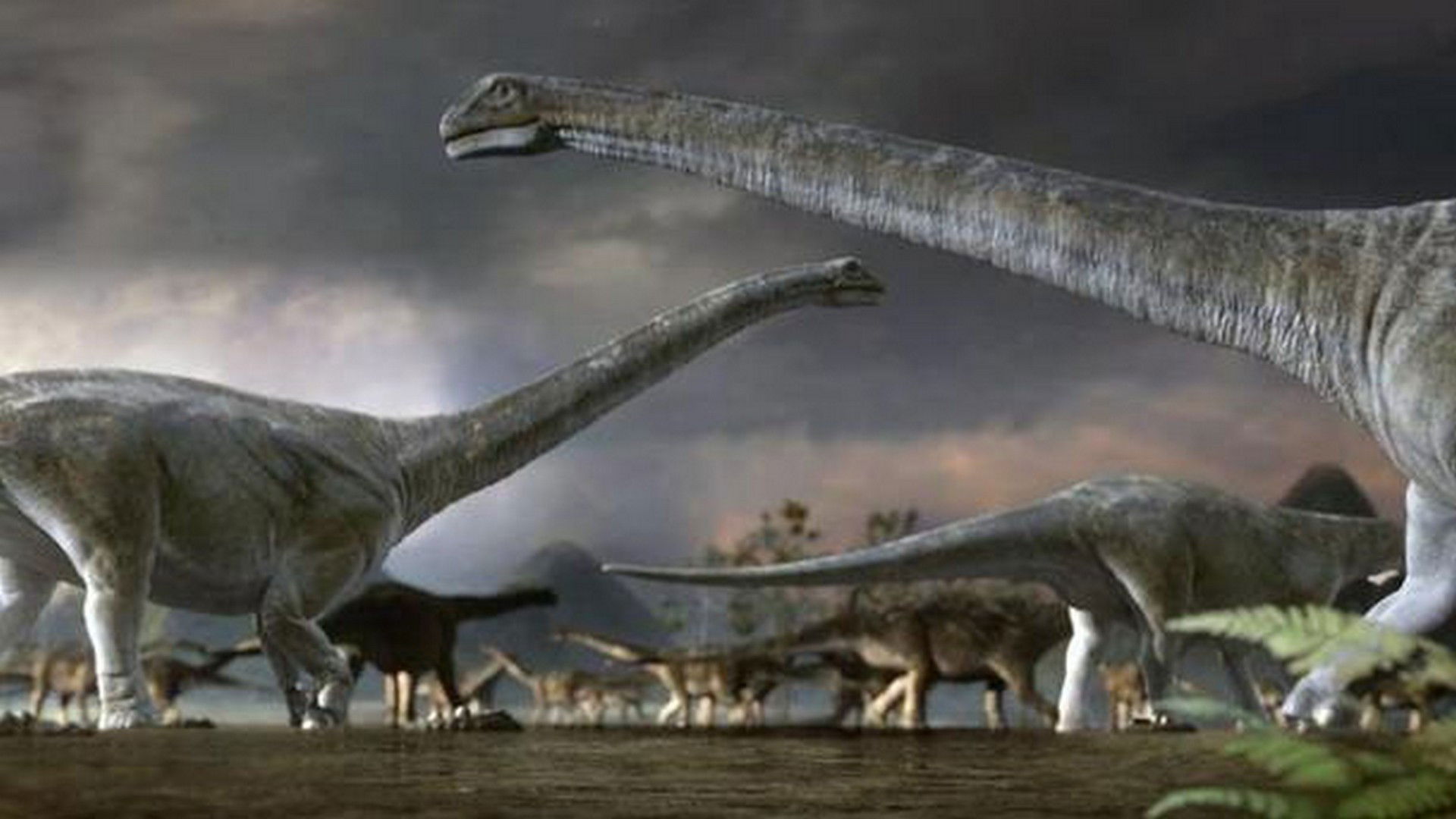 Planet Dinosaur (TV Series 2011-2011) - Backdrops — The Movie Database (TMDb)