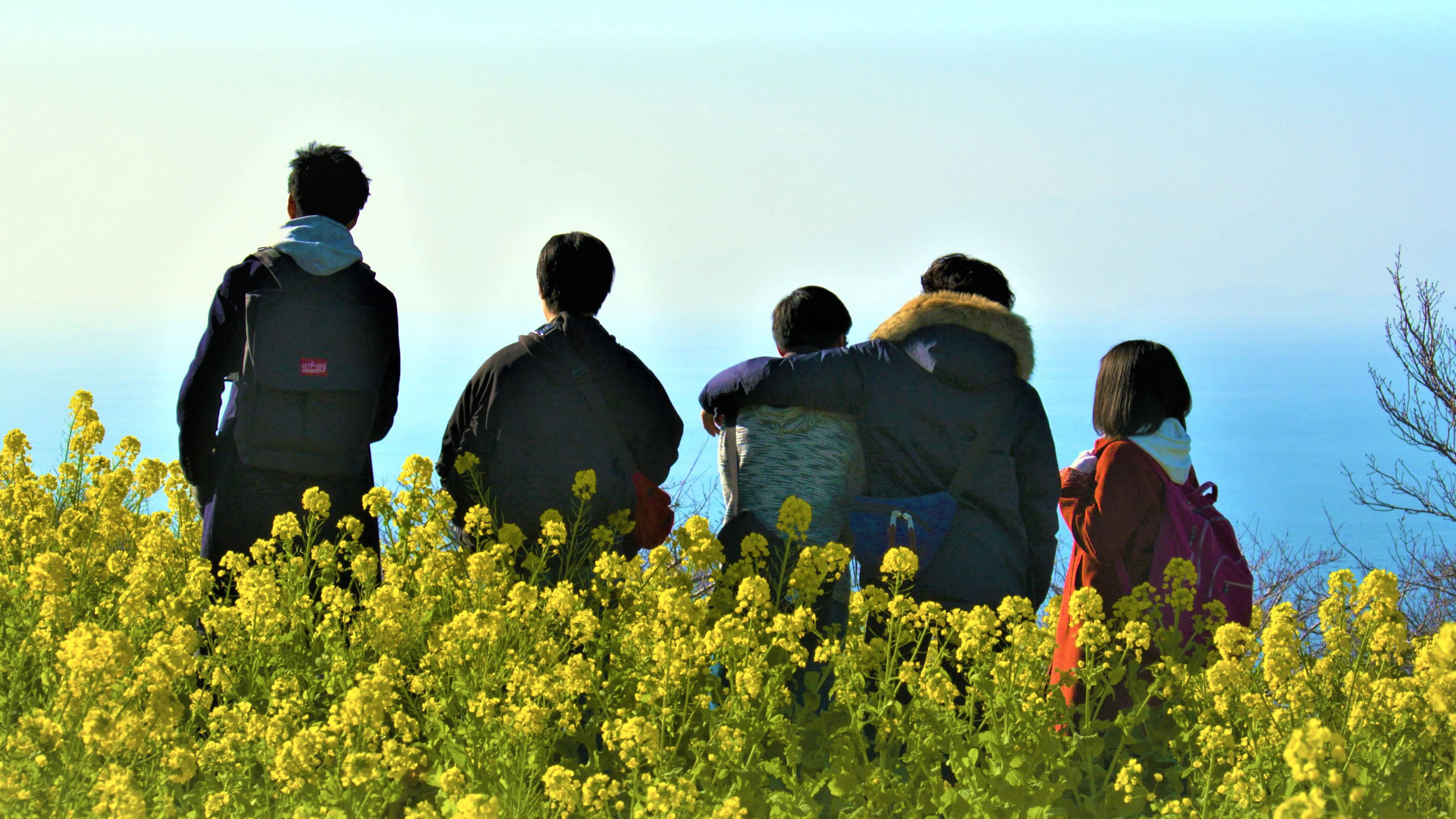 Aster School Days (2020) - AZ Movies