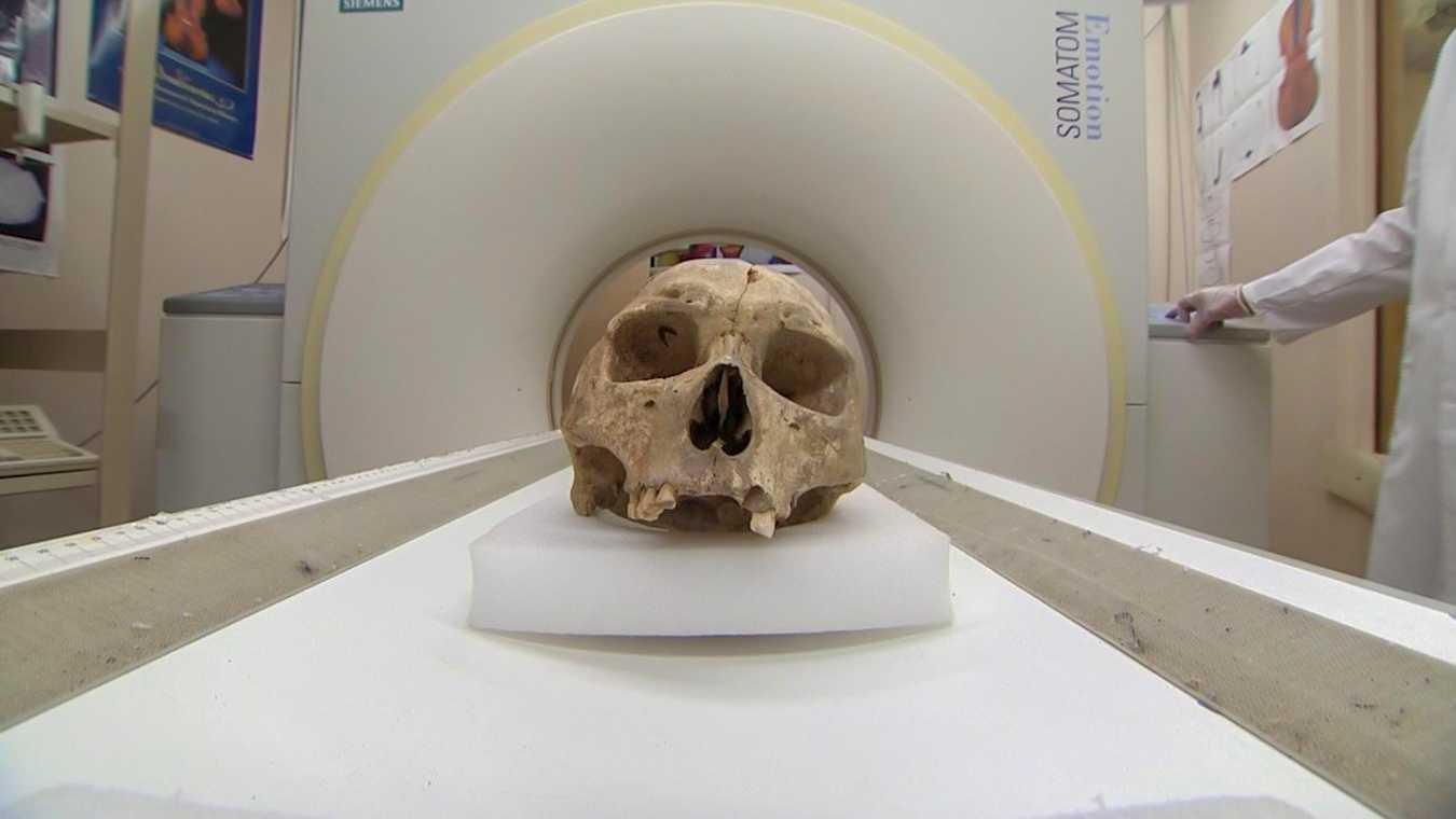 Forensic Firsts (TV Series 2012- ) - Fonds d'écran — The Movie Database ... Forensic Firsts (TV Series 2012- ) - Fonds d'écran — The Movie Database ...