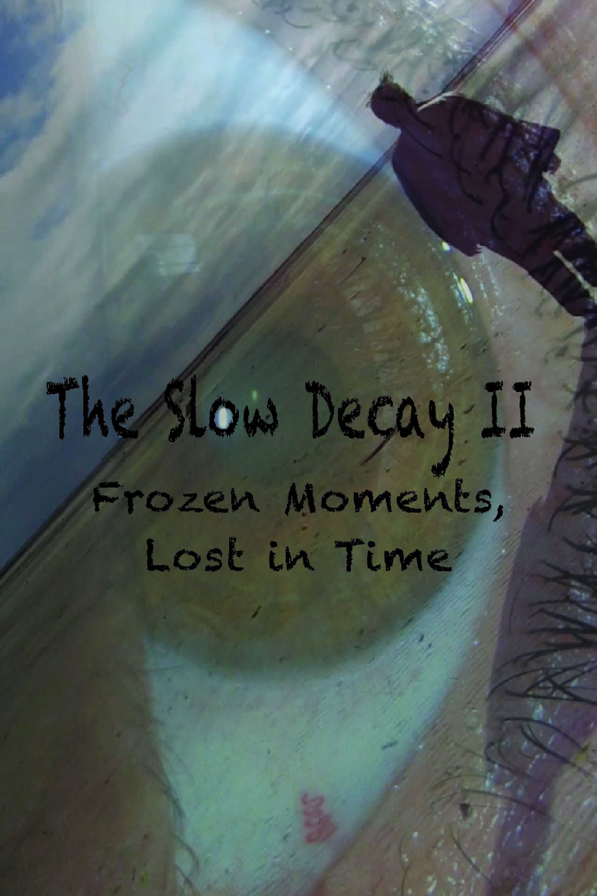 The Slow Decay II: Frozen Moments, Lost in Time (2021) | The Poster Database (TPDb)