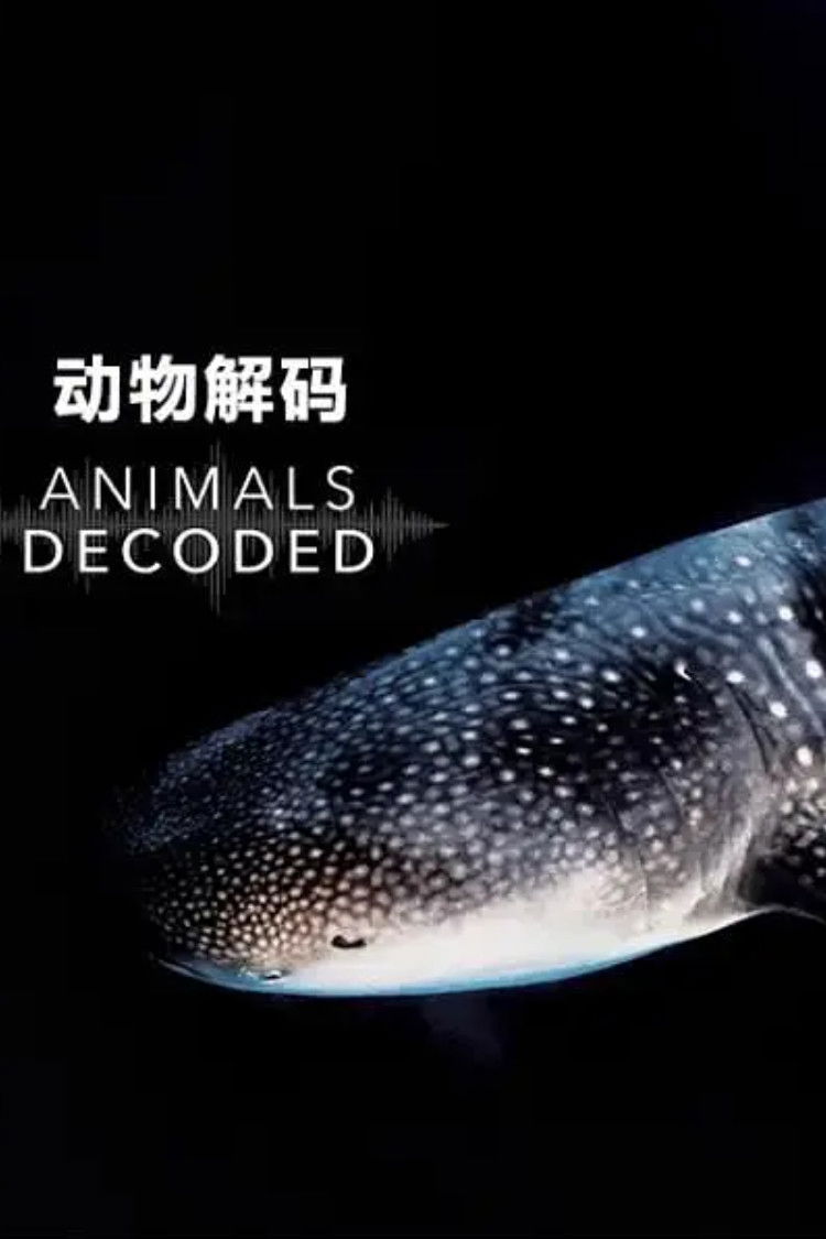 Animals Decoded (TV Series 2018- ) - Posters — The Movie Database (TMDB)