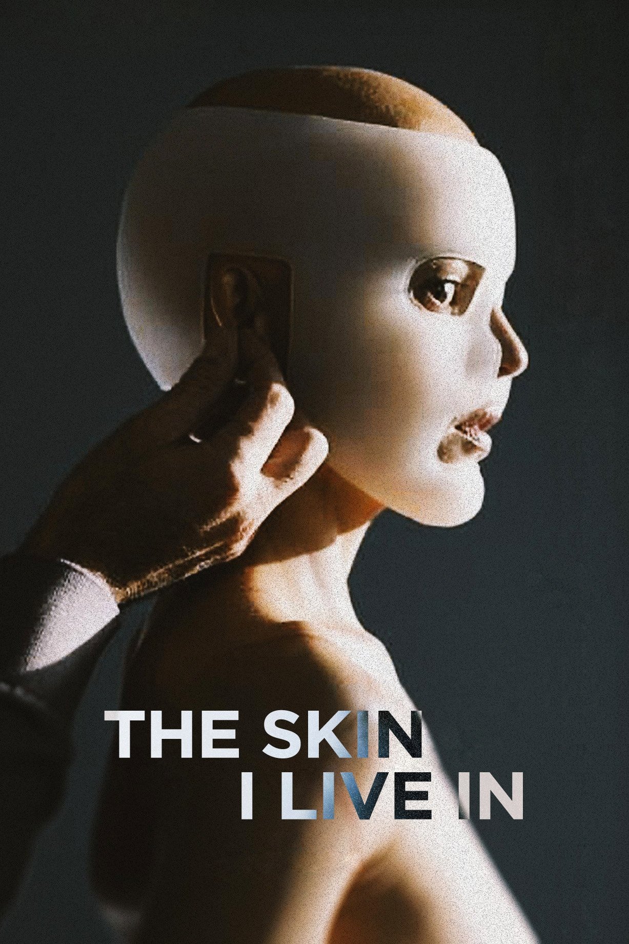 The Skin I Live In (2011) - Posters — The Movie Database (TMDB)